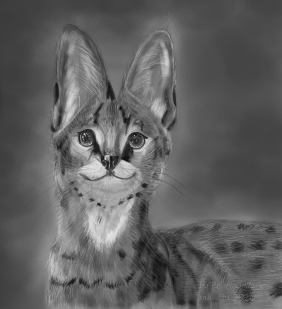 ArtStation - Wildcat Smile