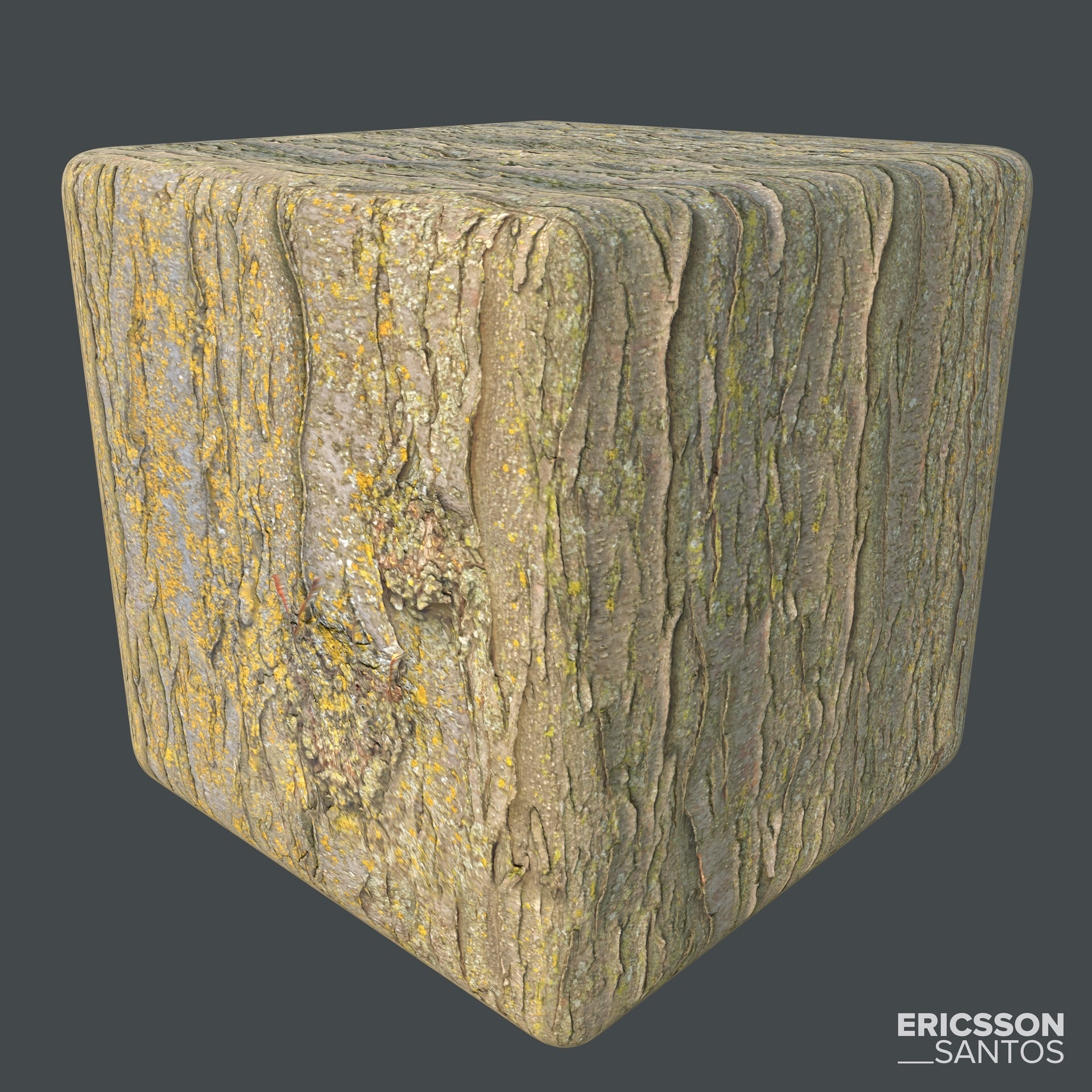 Ericsson Santos - Bark Tree 003 - Photogrammetry-based Environment Texture