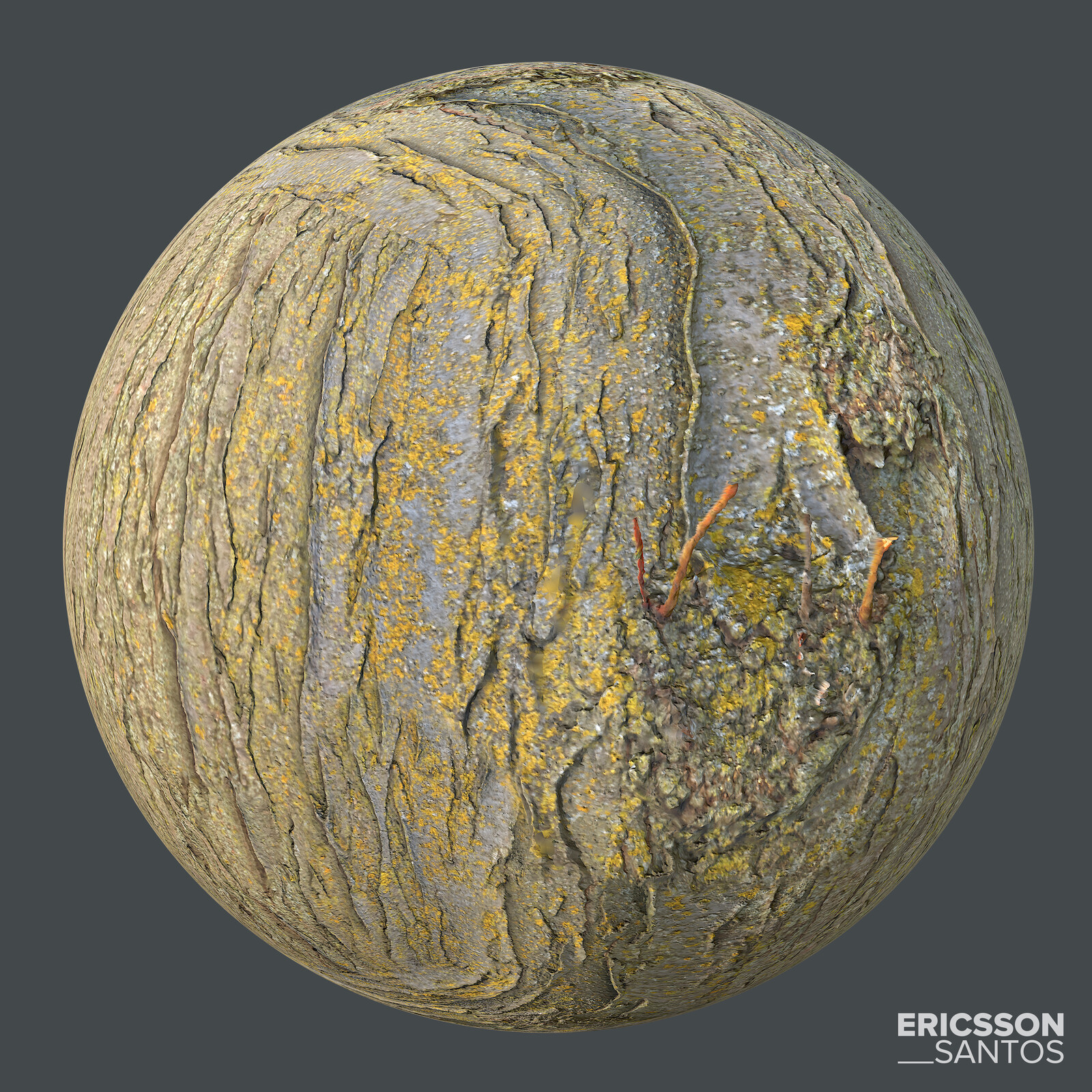 Ericsson Santos - Bark Tree 003 - Photogrammetry-based Environment Texture