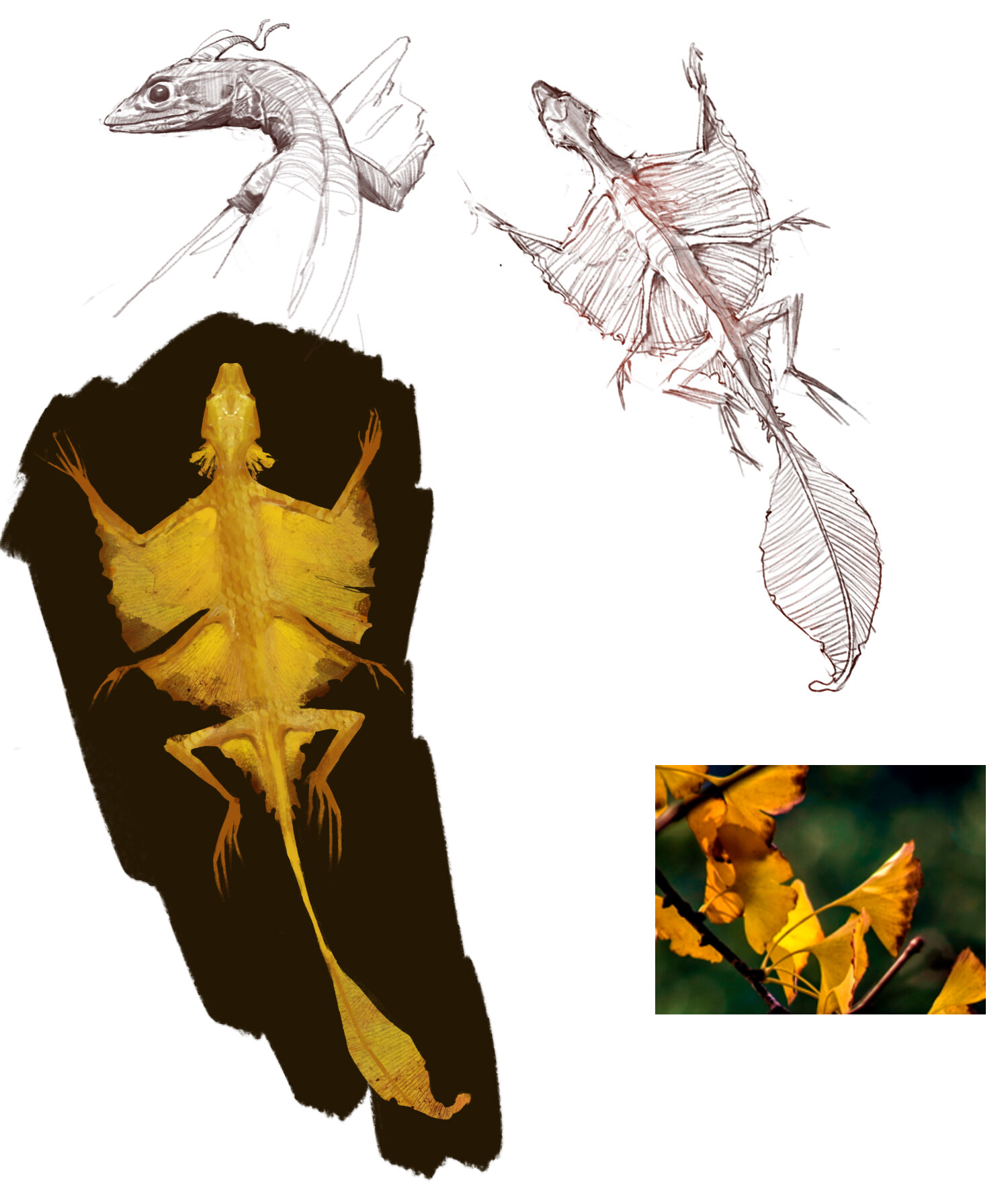 ArtStation - creature