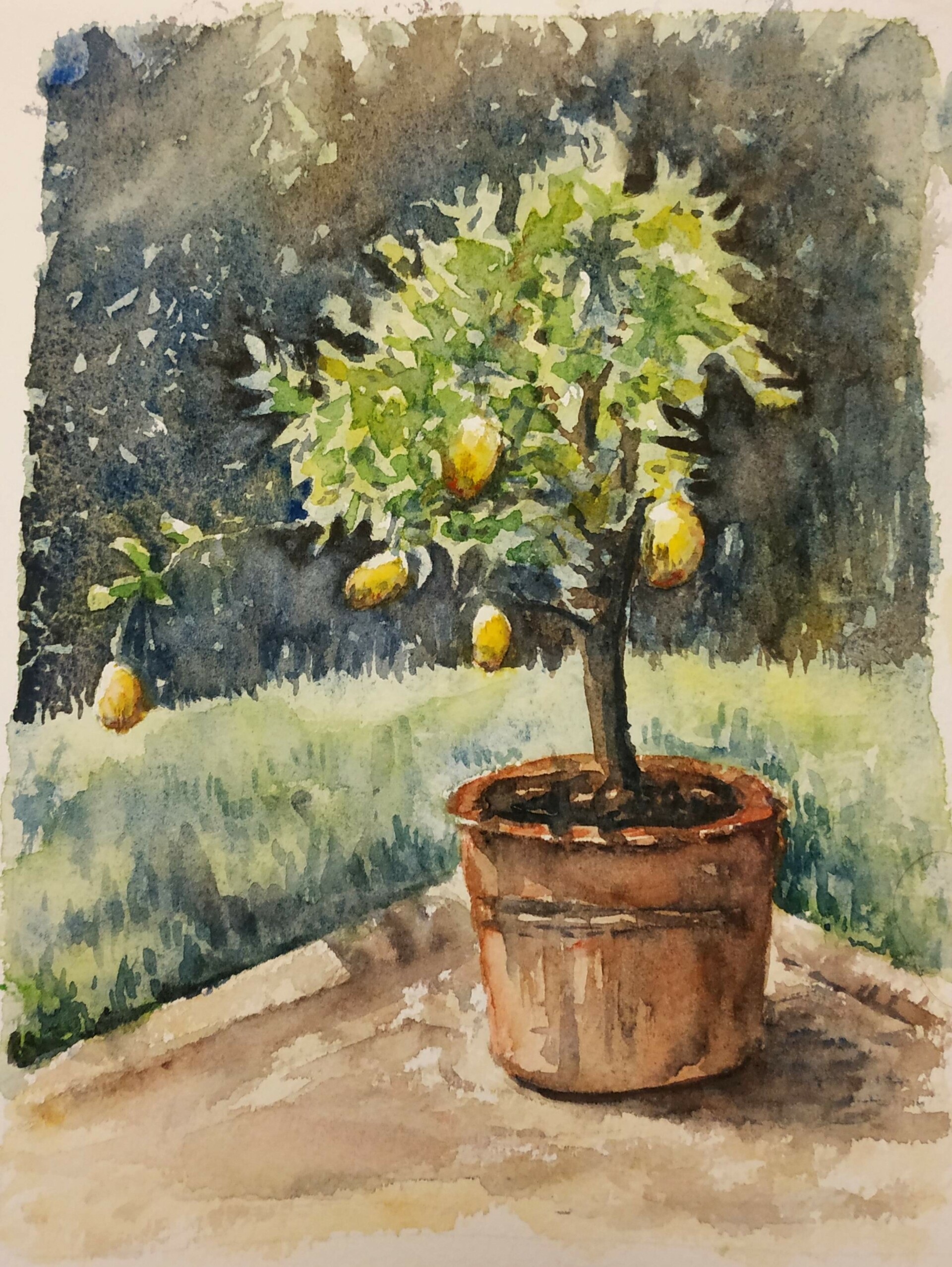 ArtStation - Watercolor_Lemon tree