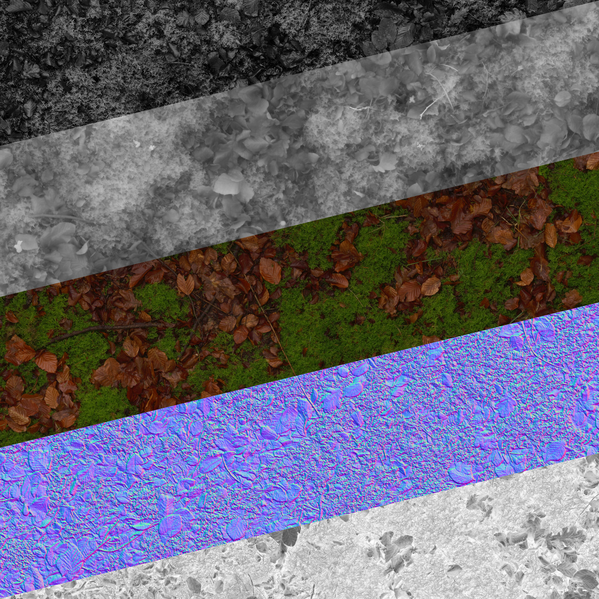 3D Scanned Textures - Natural Ground Textures | Photoscanned