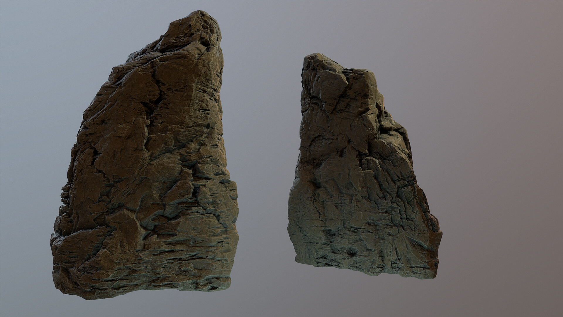 Chris Mott - Nature Exploration