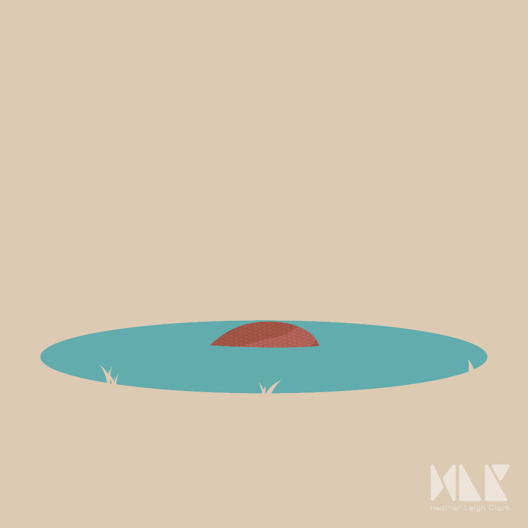 ArtStation - Water Snake - Short Animation