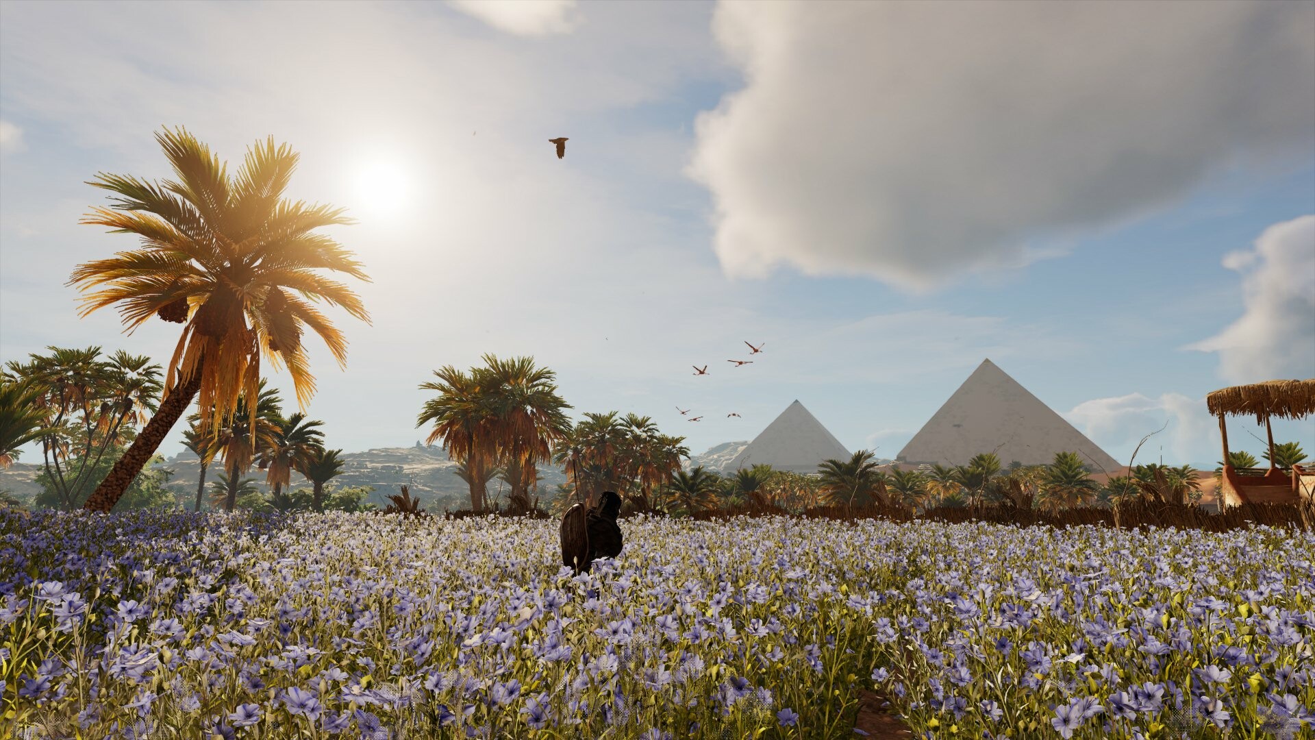 ArtStation - Fields Of Giza