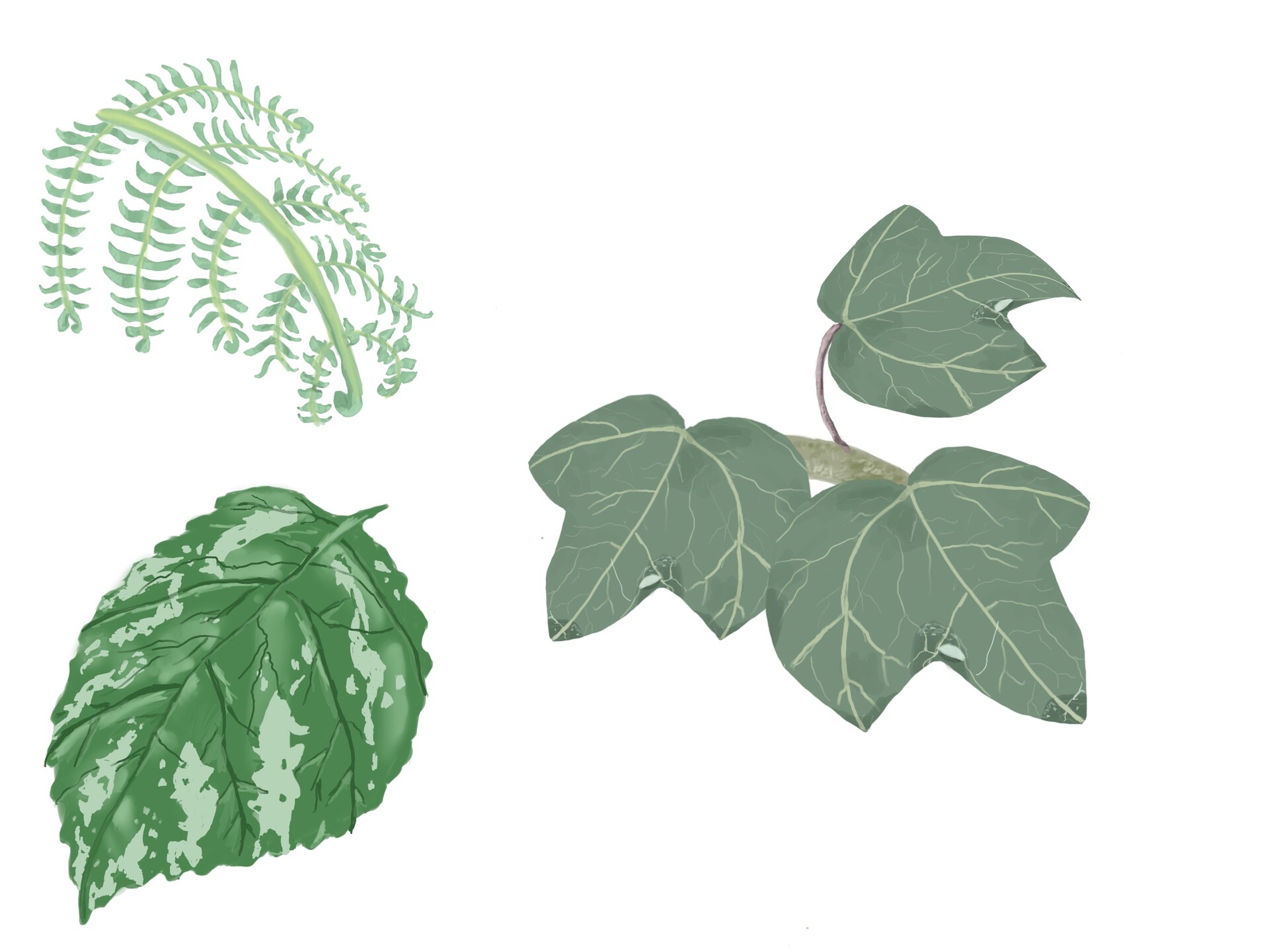 ArtStation - Leaf Studies
