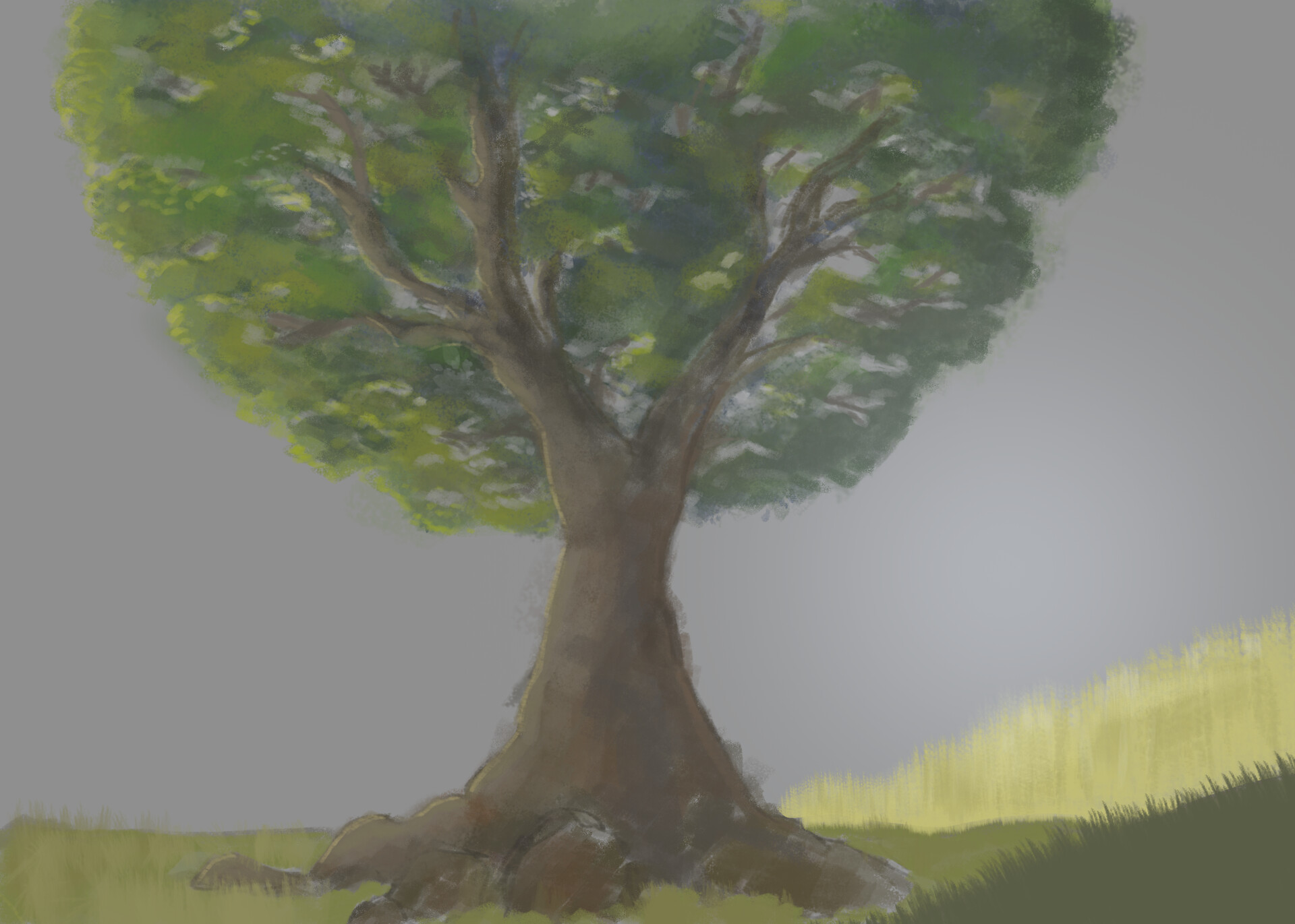 ArtStation - Tree study