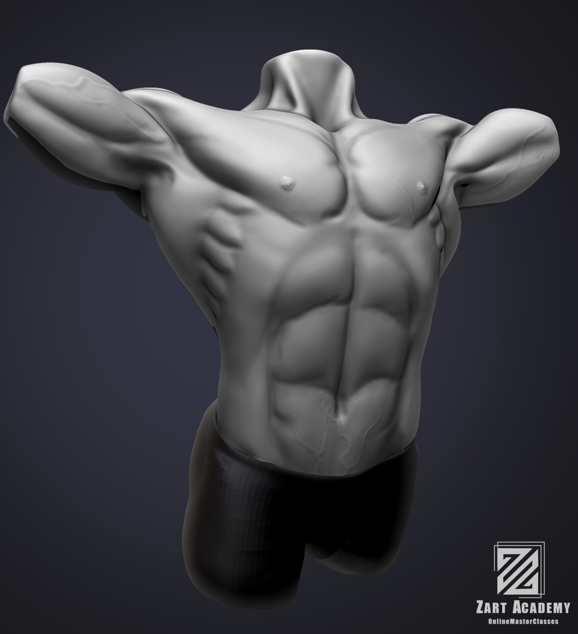 ArtStation - TORSO STUDY