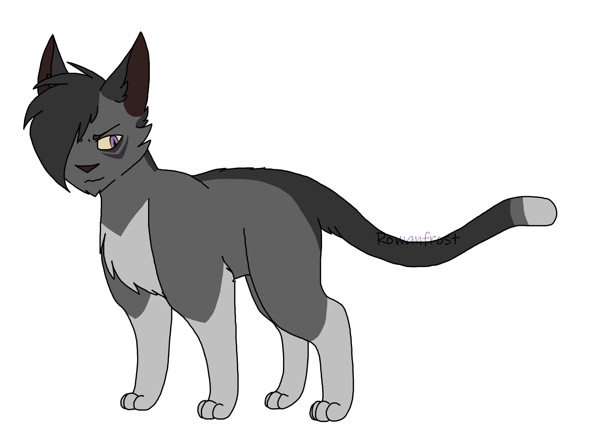 Rowan Blaisdell - Feline OC Designs