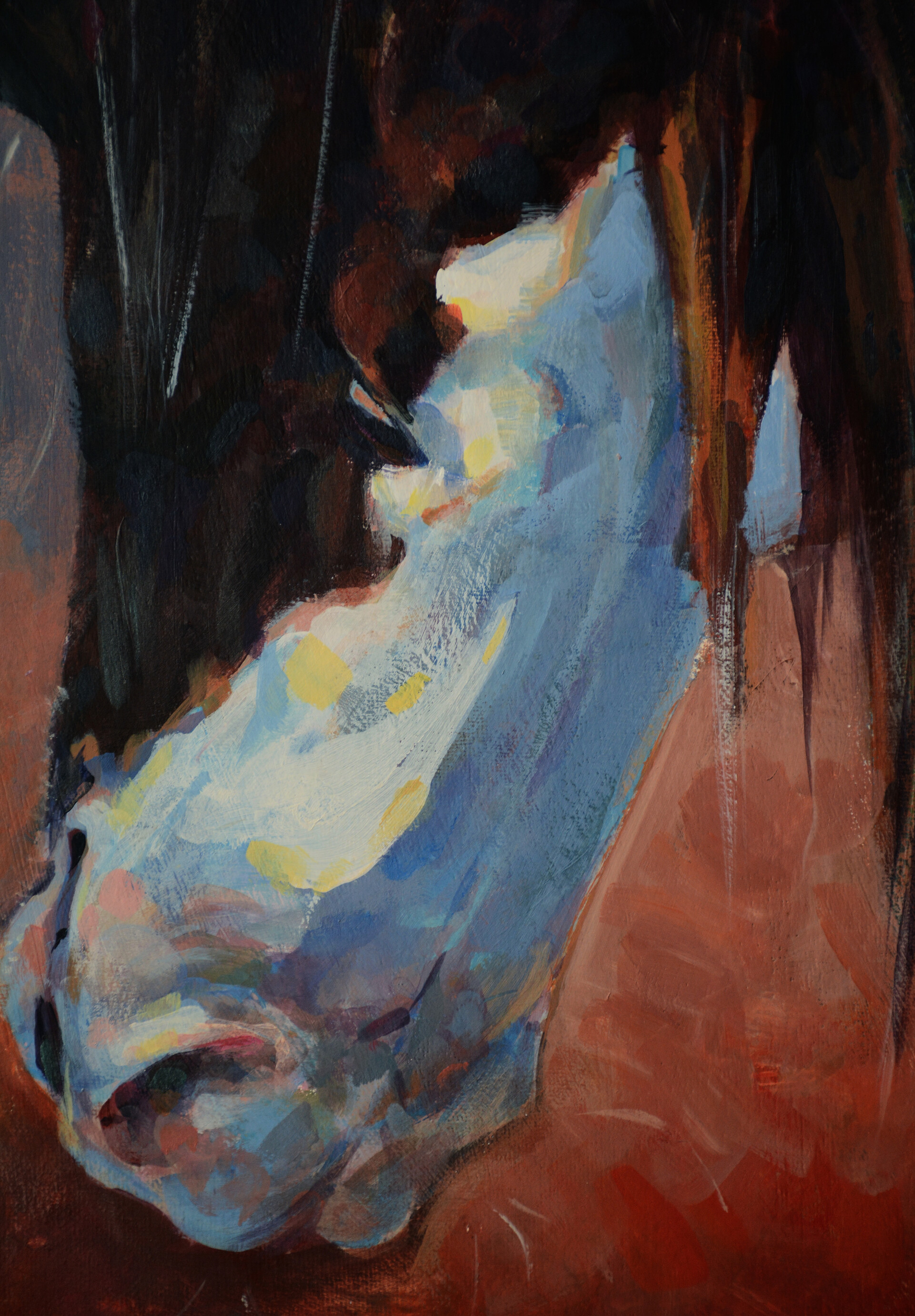 Yuwei Li - Dibble-Equine Portrait