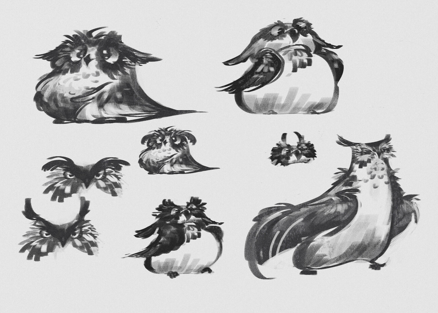ArtStation - Owl concept sketches