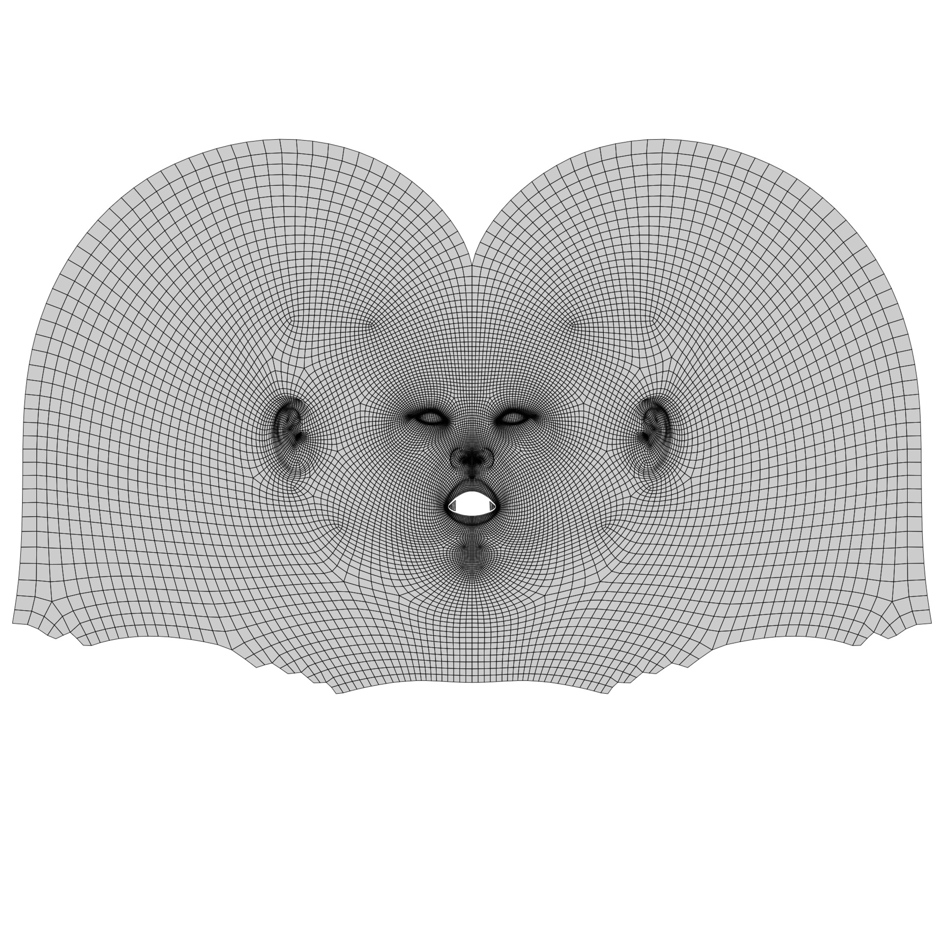 Jason Barajas - Music Lip Sync Test