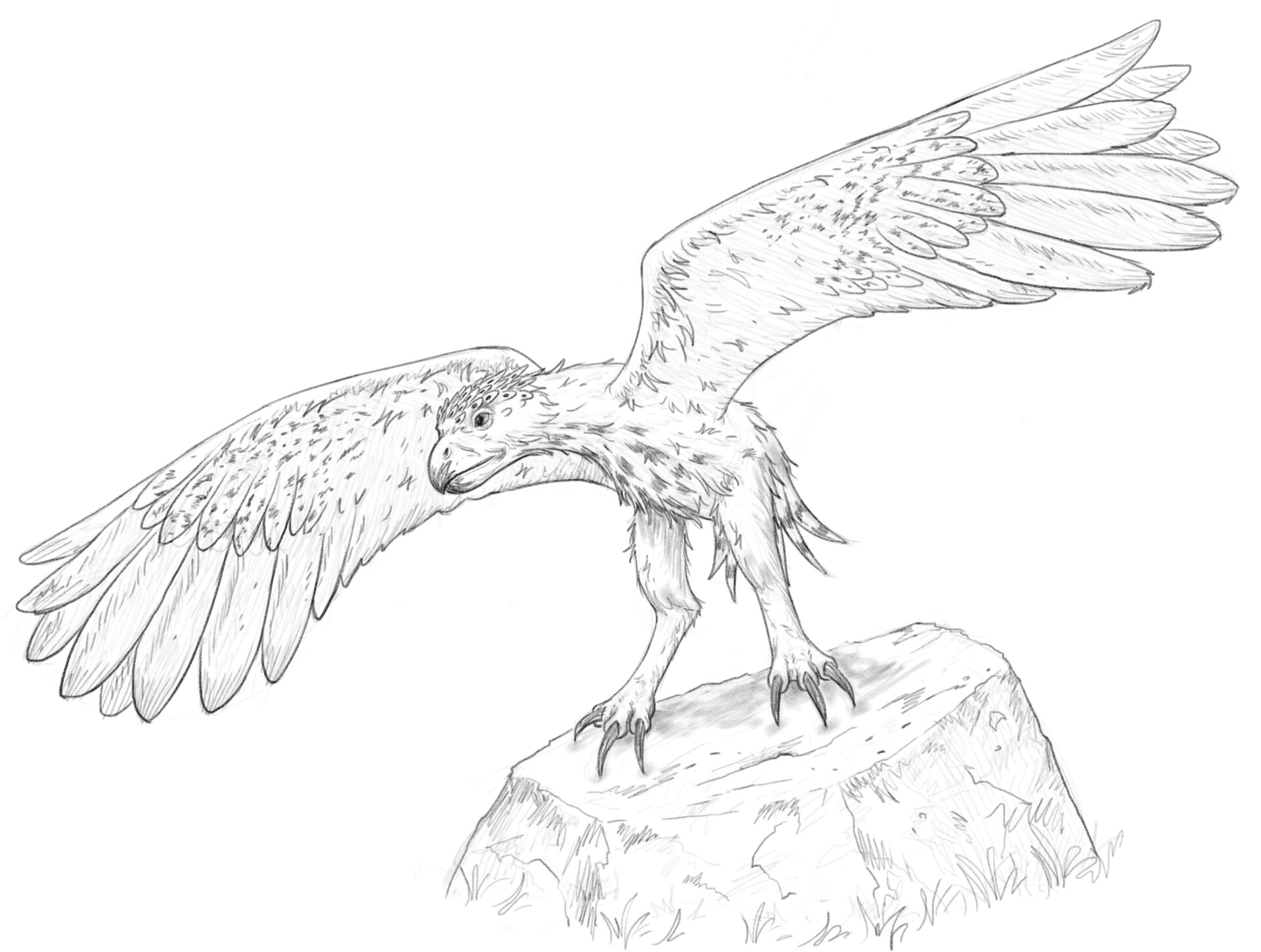 ArtStation - Large Birds 5