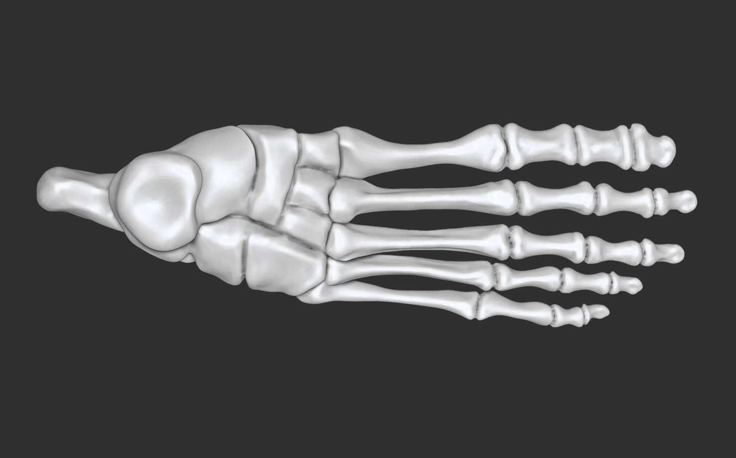 Mark Klein-Horsman - Skeleton T-Pose