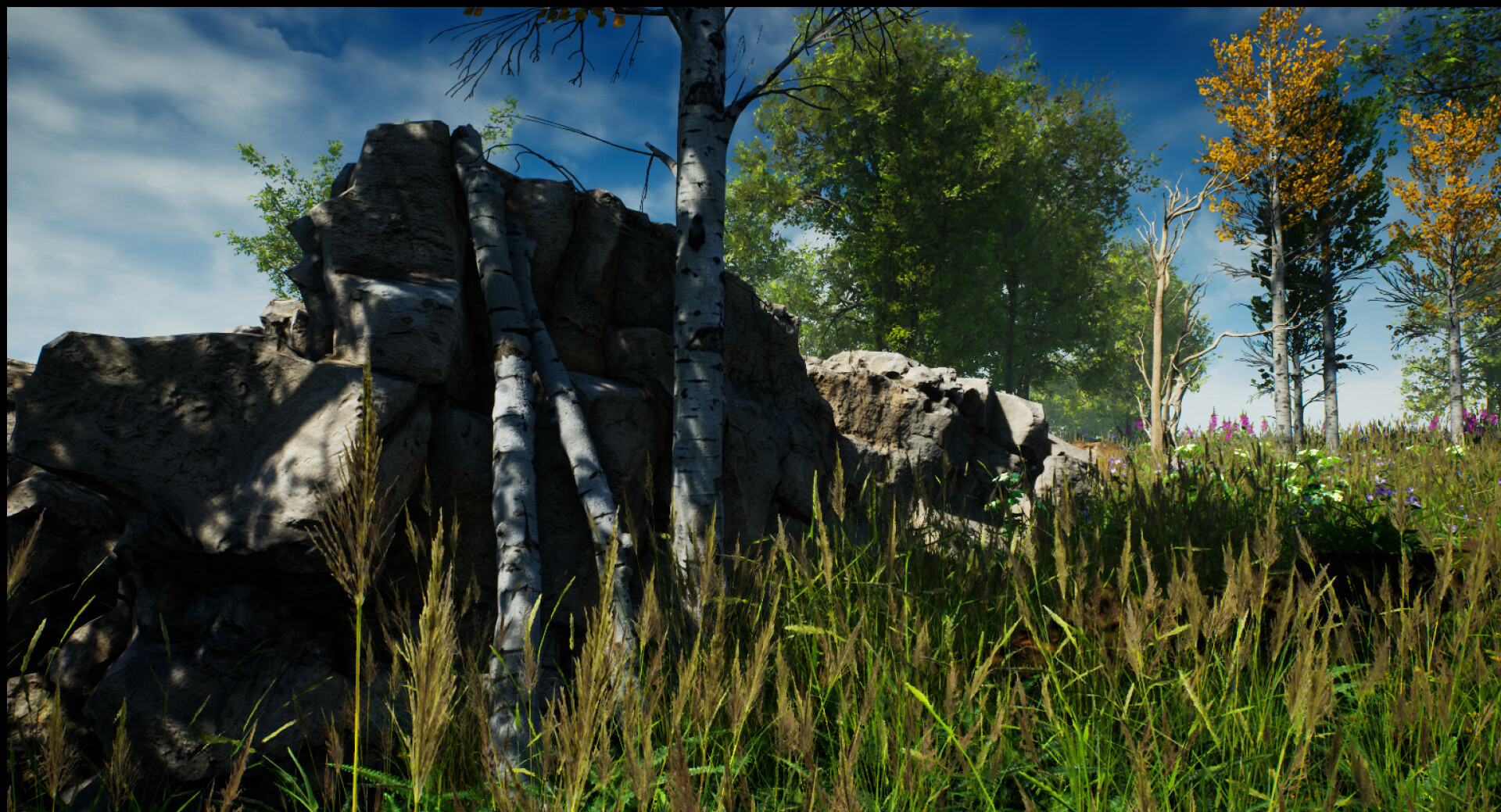 ArtStation - UE4 Real-Time Field