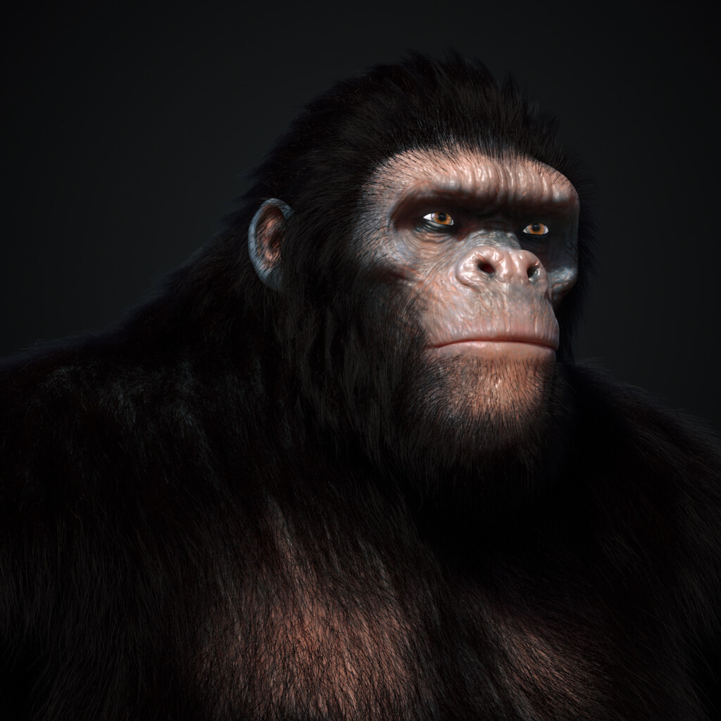ArtStation - Ape portrait