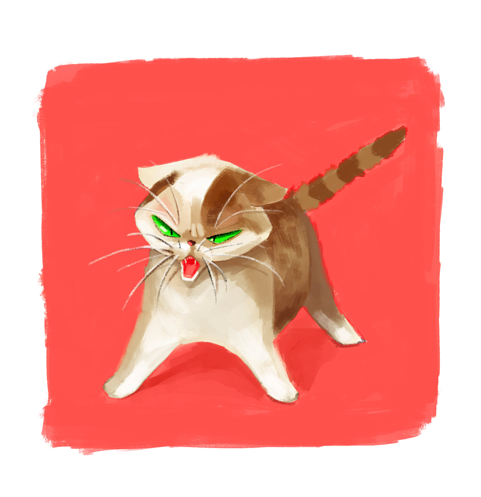 ArtStation - Angry cat Pink background