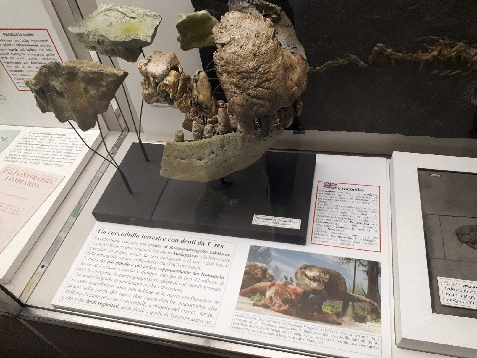 Fabio Manucci - "Razana" (Razanandrongobe)