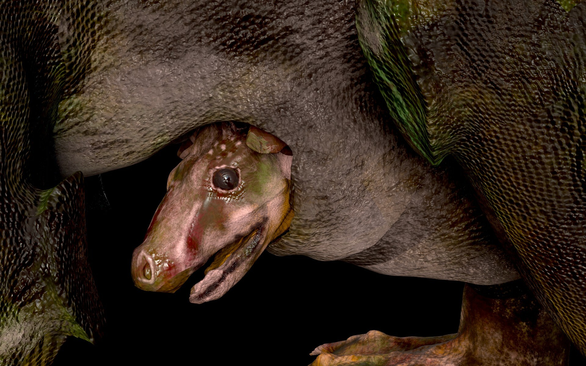 ALEX ALDERETE - Armored Grappling Yapok