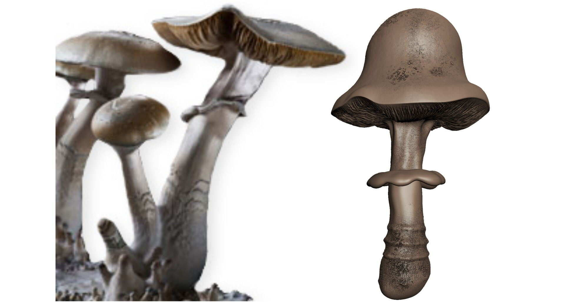 Geoff Graham - Slumber Dust Album Art