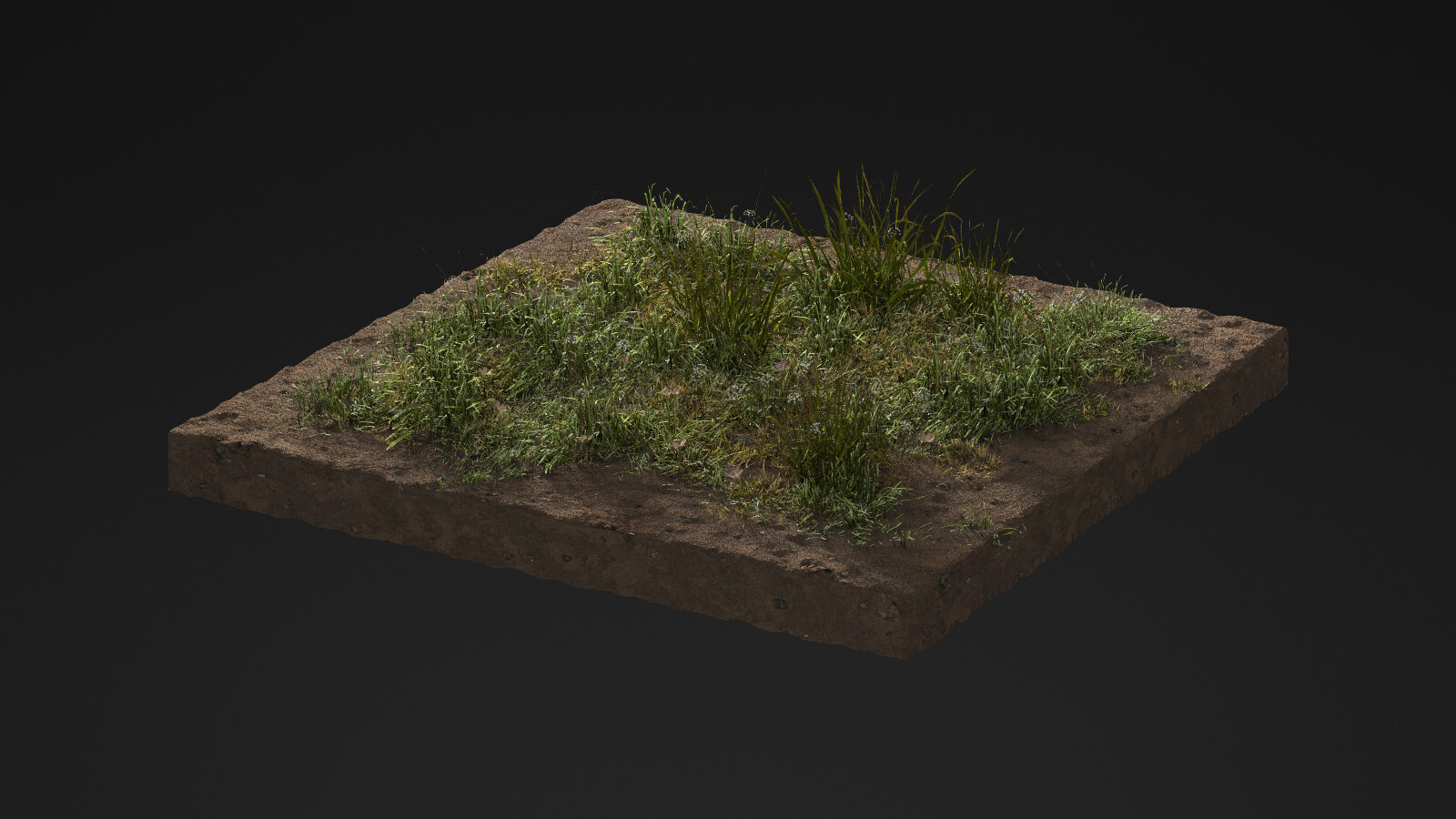 ArtStation - Vegetation Patch