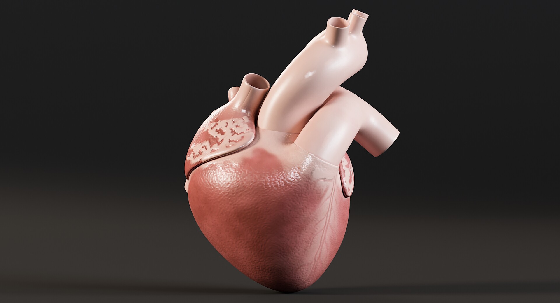 ArtStation - Realistic 3D model of Man Heart created by NICE PICTURES ...