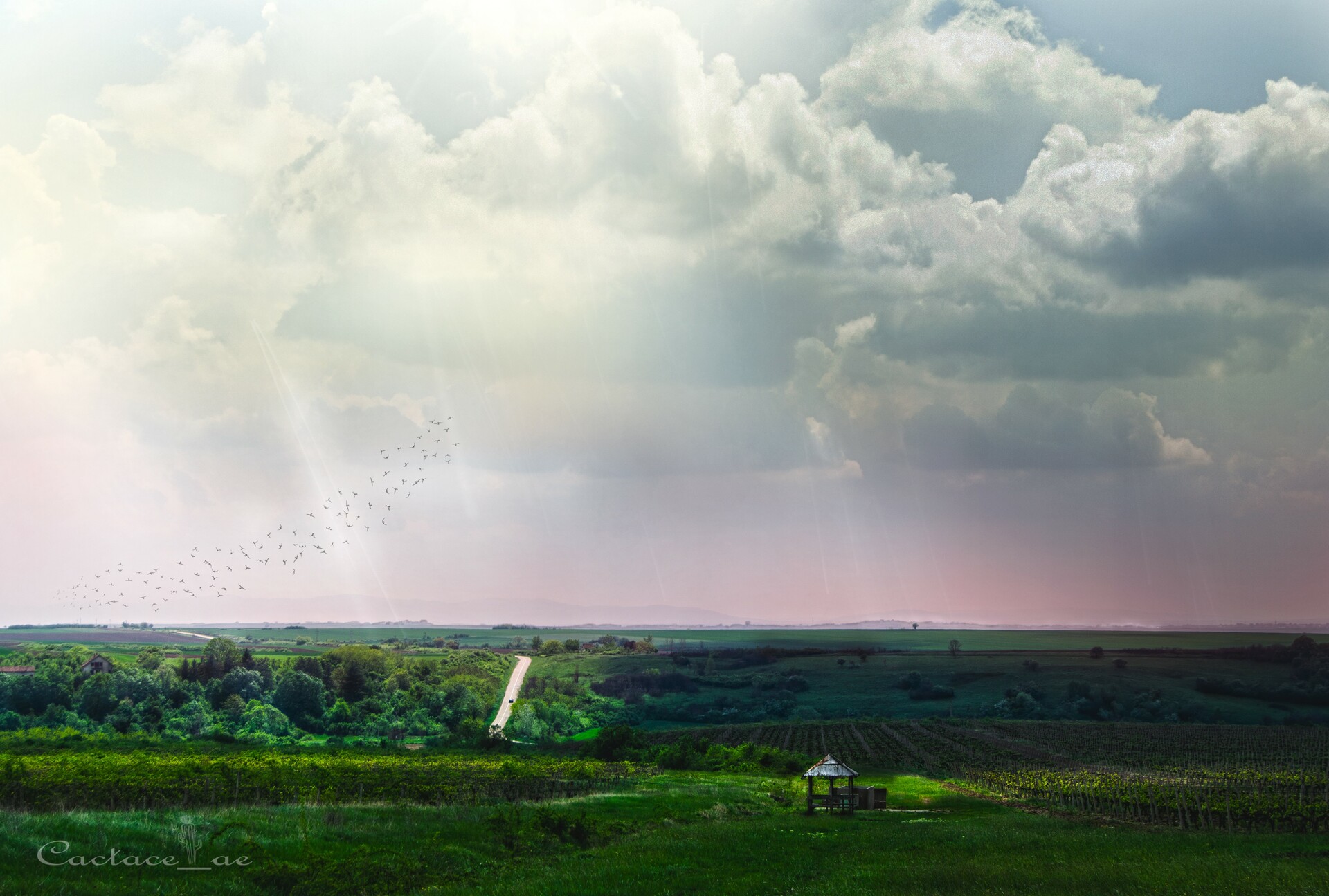 ArtStation - Nature efect