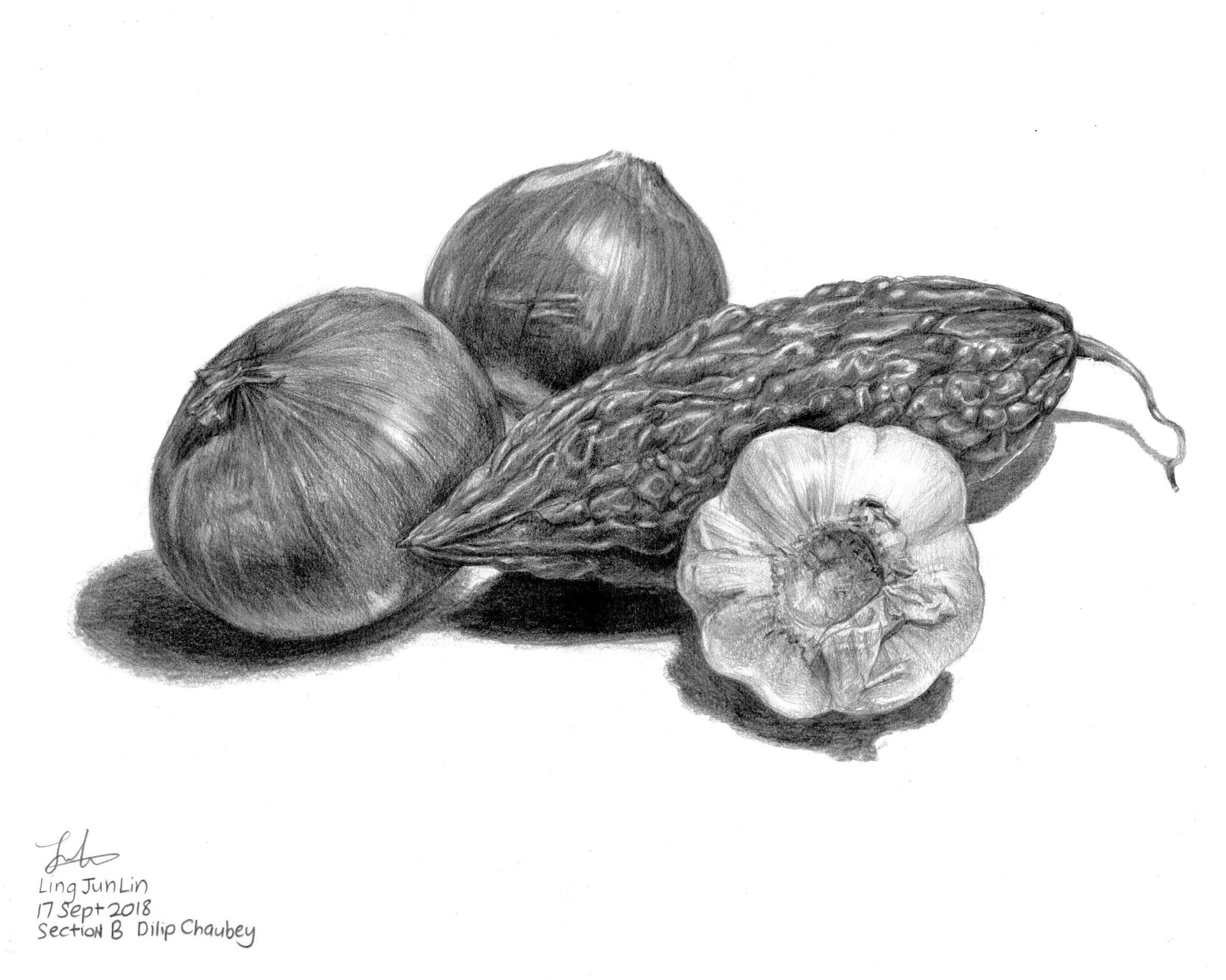 ArtStation - Still Life - Pencil