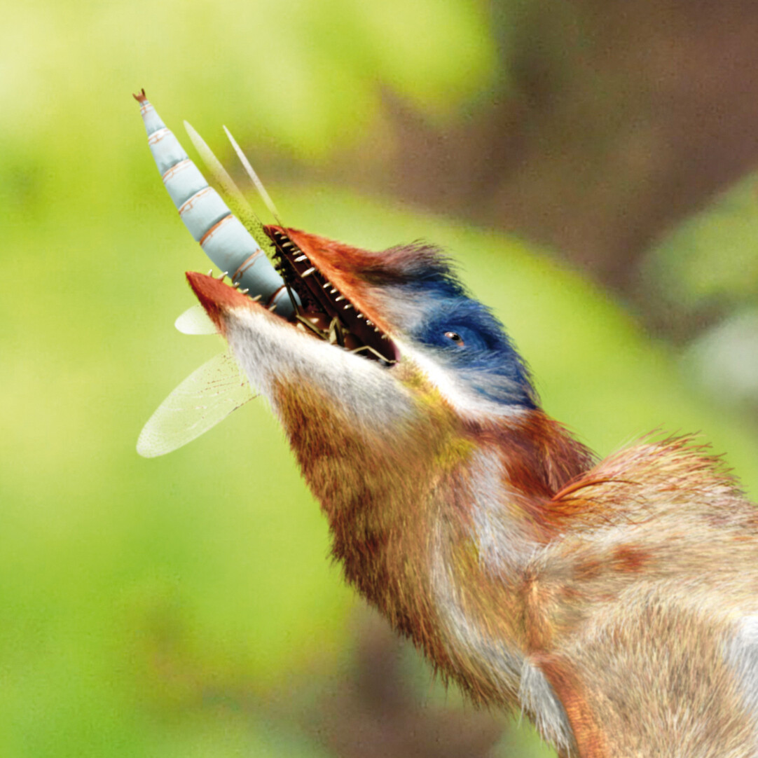 peteinosaurus predators