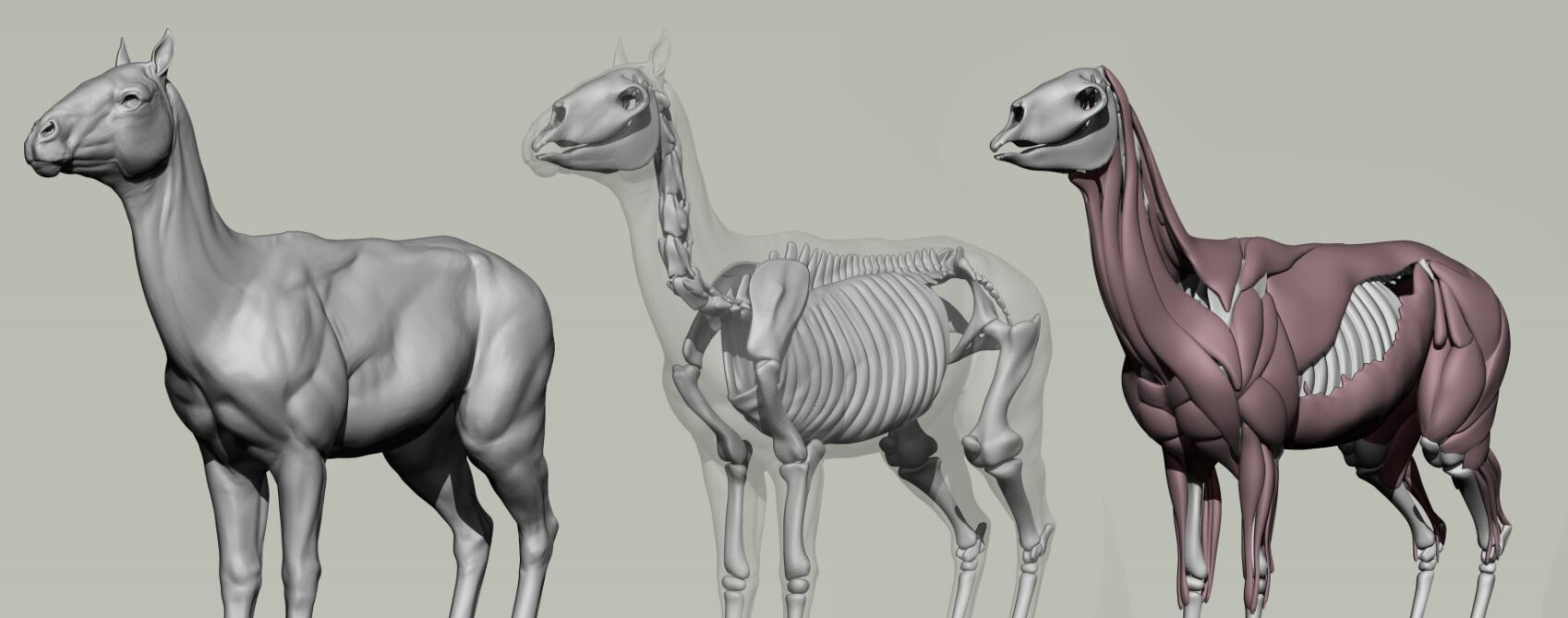 Vladimira Strukanova - WORK IN PROGRESS: Traveller's Creature