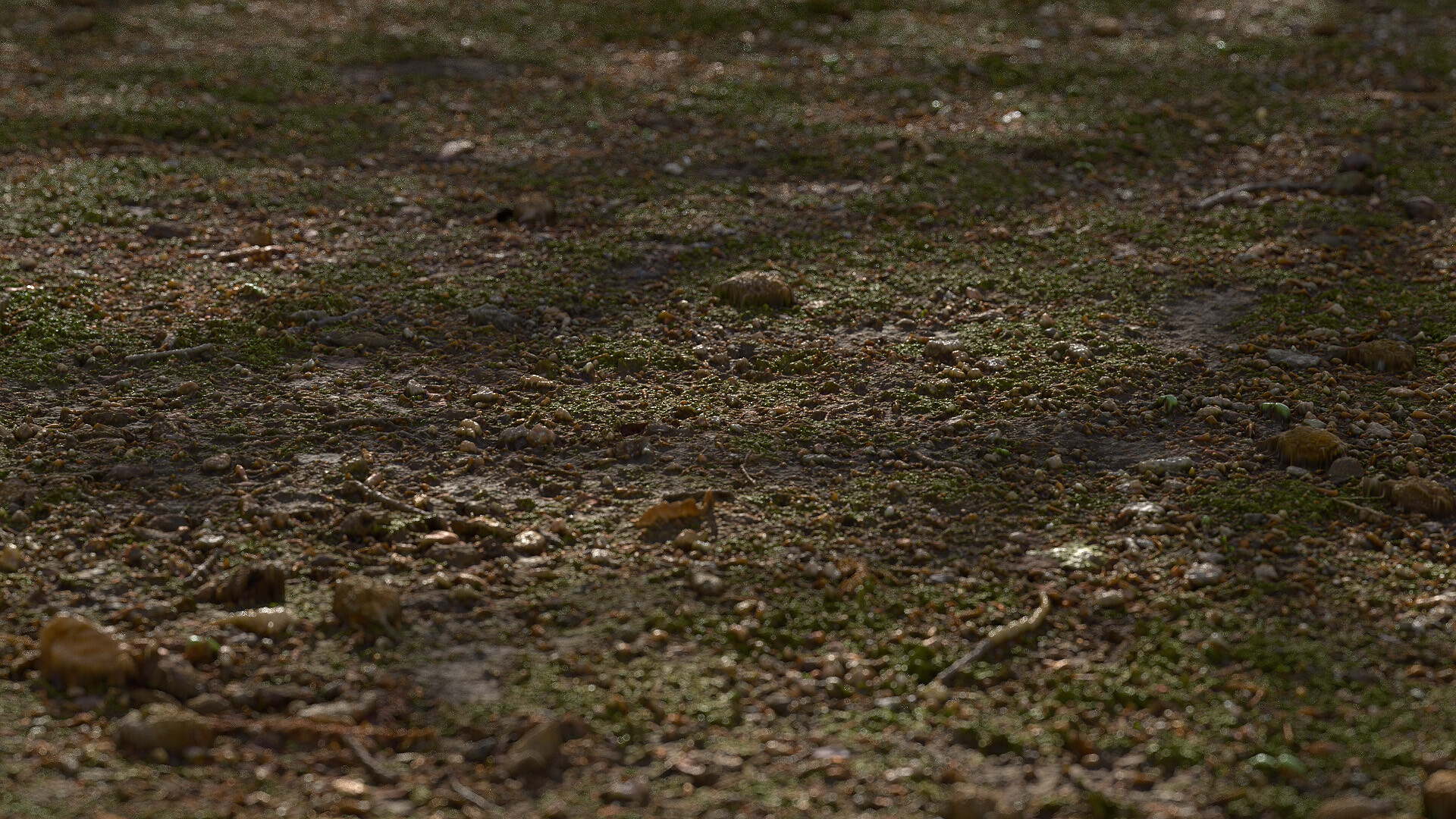 3D Scanned Textures - Mossy Ground Mixed Texture | Photoscanned