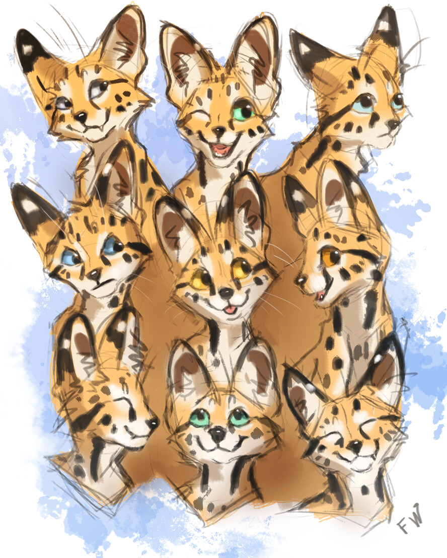 ArtStation - Servals