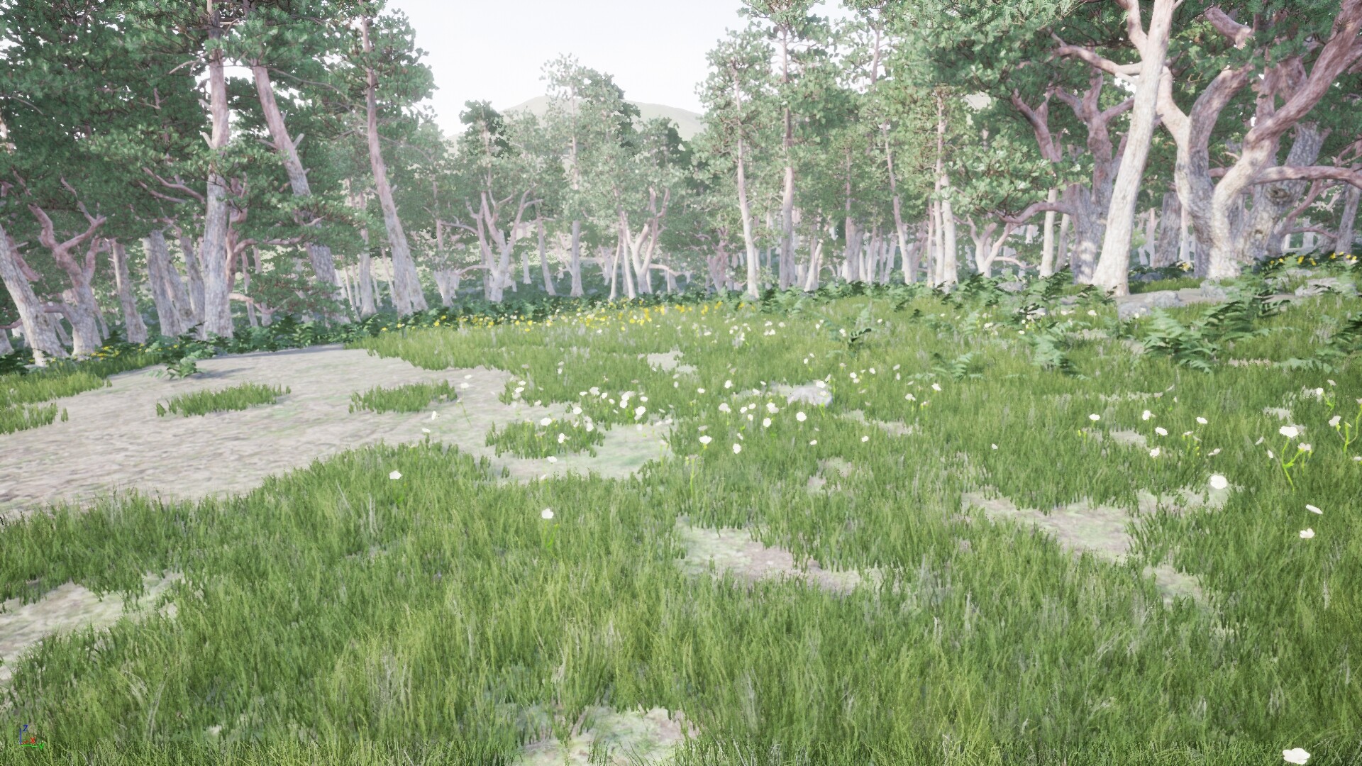 ArtStation - Forest Scene Study