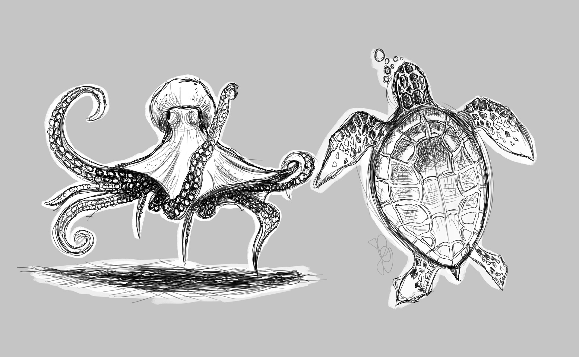 Jaqueline Gruber - Dynamic Sketching: Sea Creatures