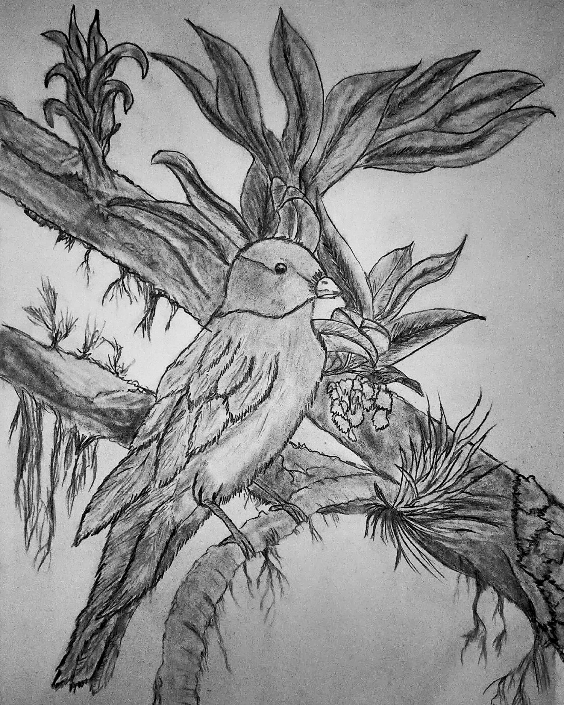 ArtStation - Nature #1