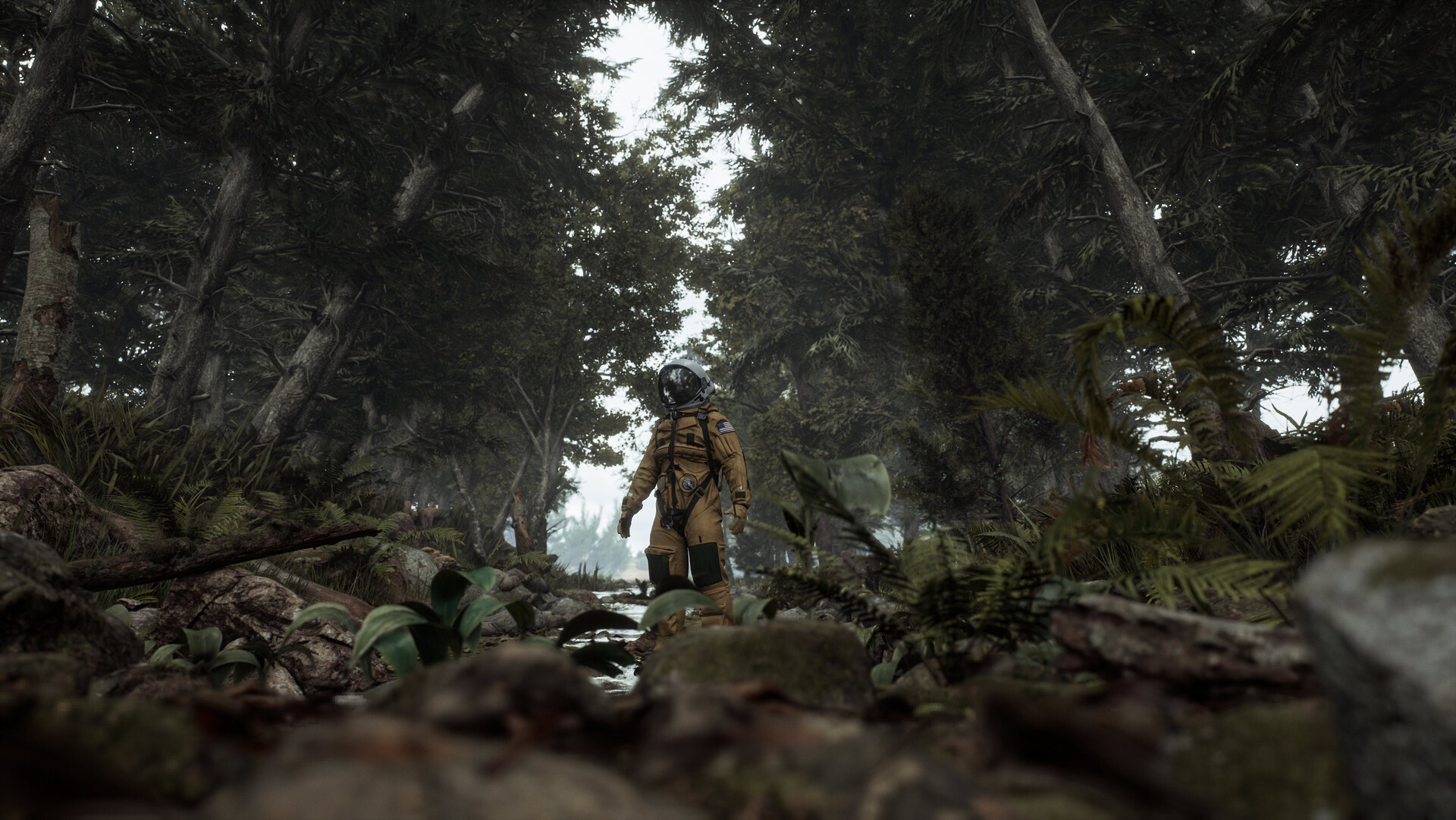 Pasquale Scionti - Photoreal forest environment created with Unreal Engine 4.24
