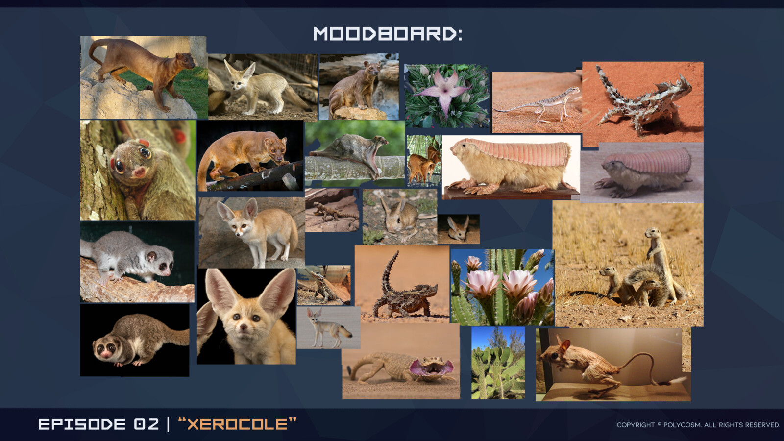 Omercan Cirit - POLYCOSM | CONCEPT CREATION | XEROCOLE