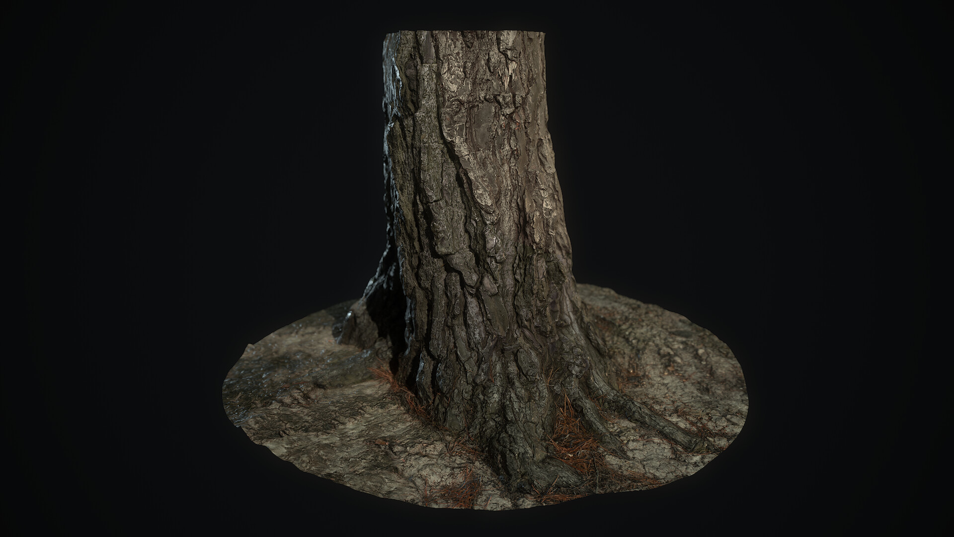 ArtStation - Pine Tree Trunk