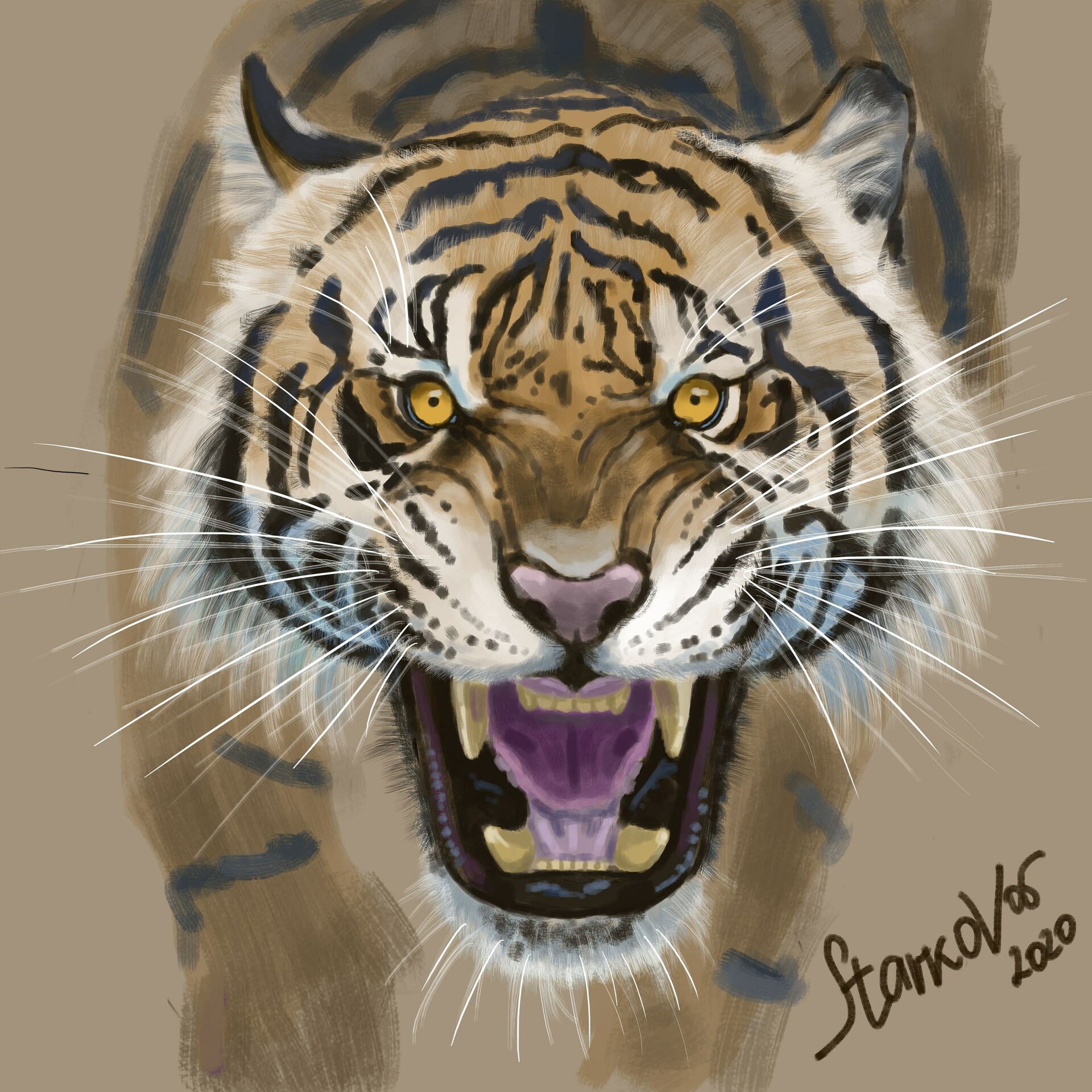 ArtStation - Tiger, sketch, Krita