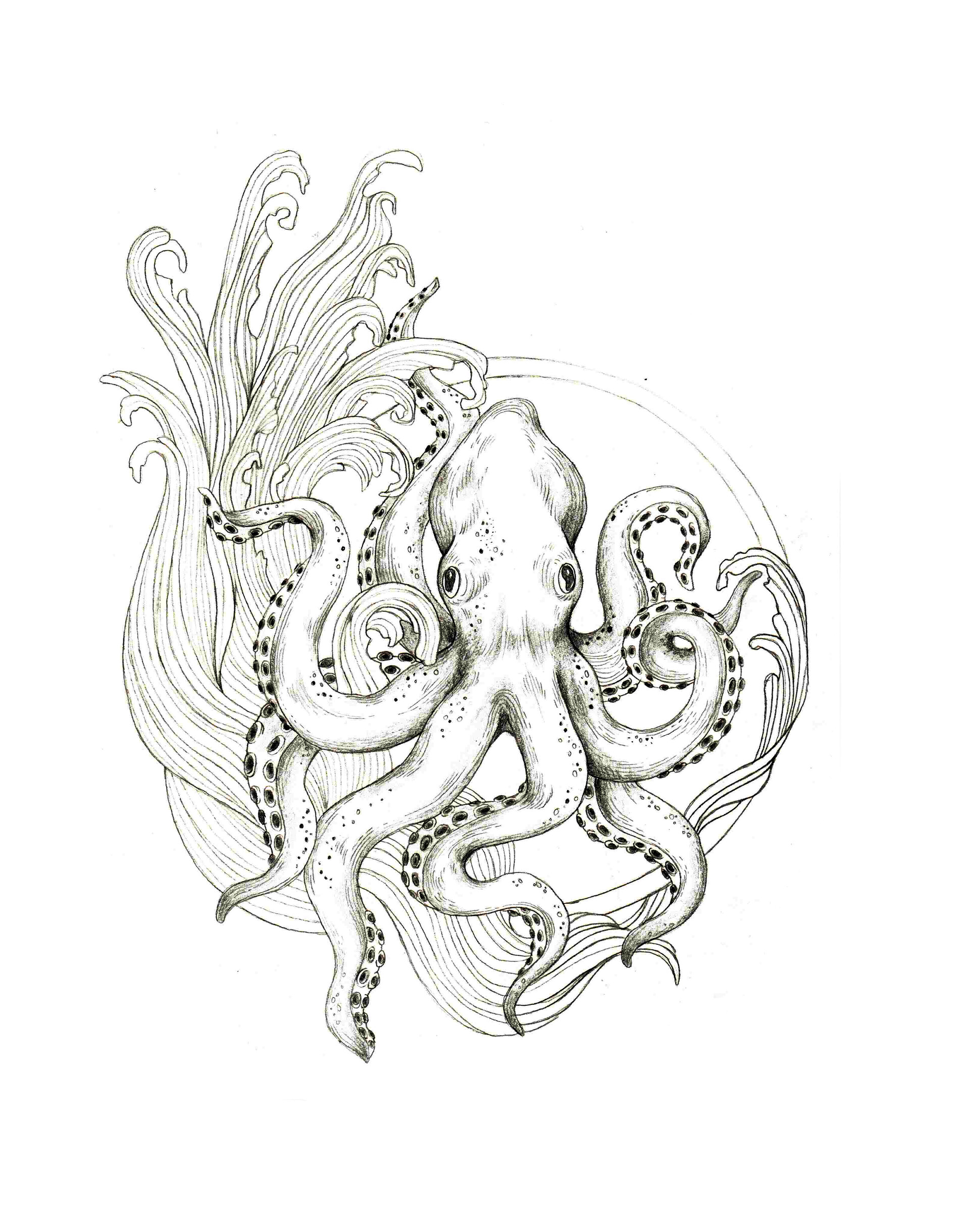 ArtStation - Octopus Design