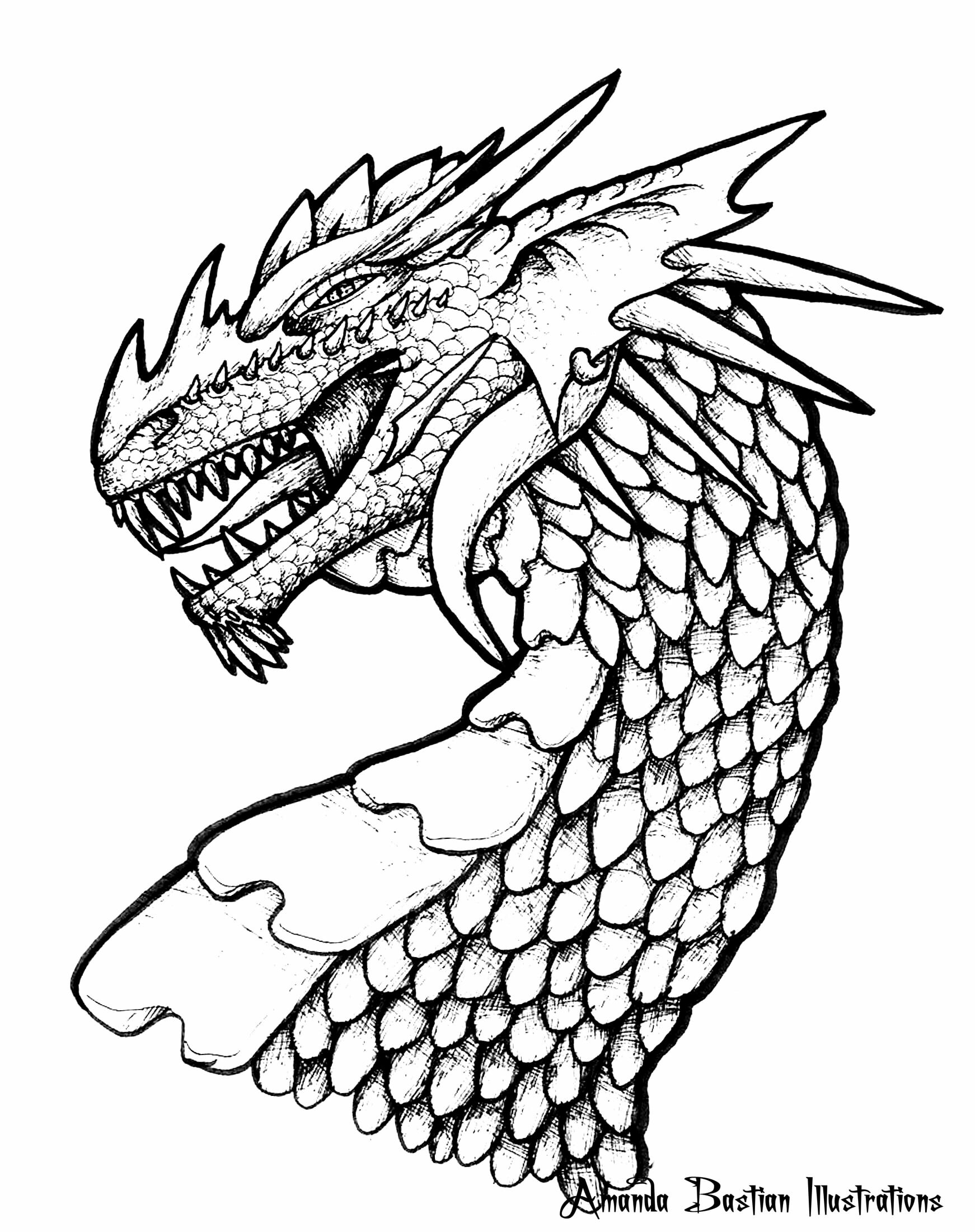 realistic dragon printable coloring pages