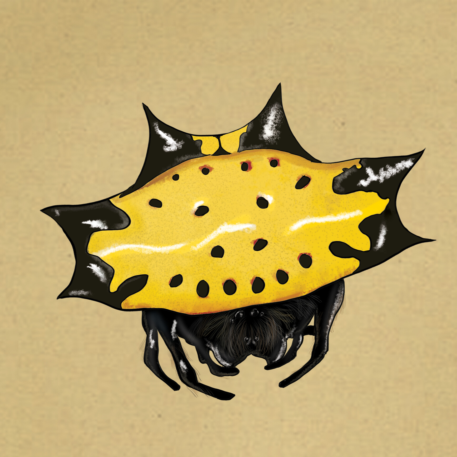 ArtStation - Fancy Spider