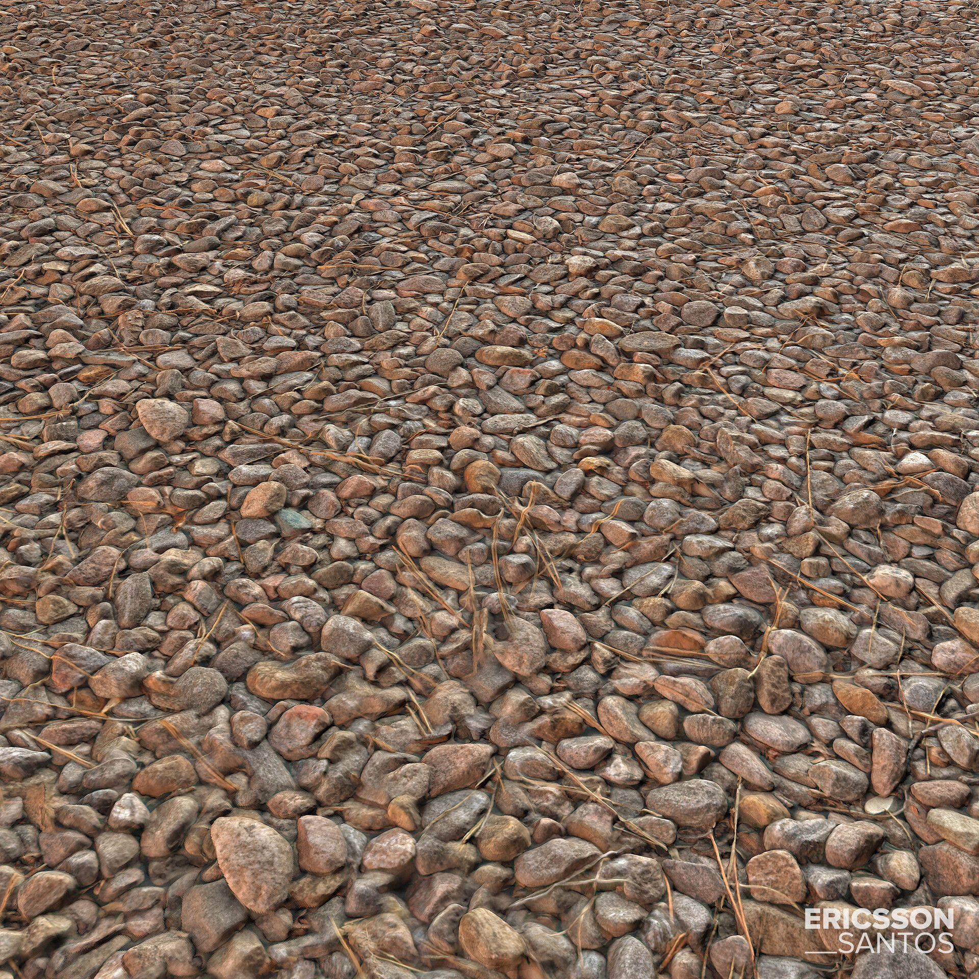 Ericsson Santos - Pebbles and Branches - Photogrammetry-based ...