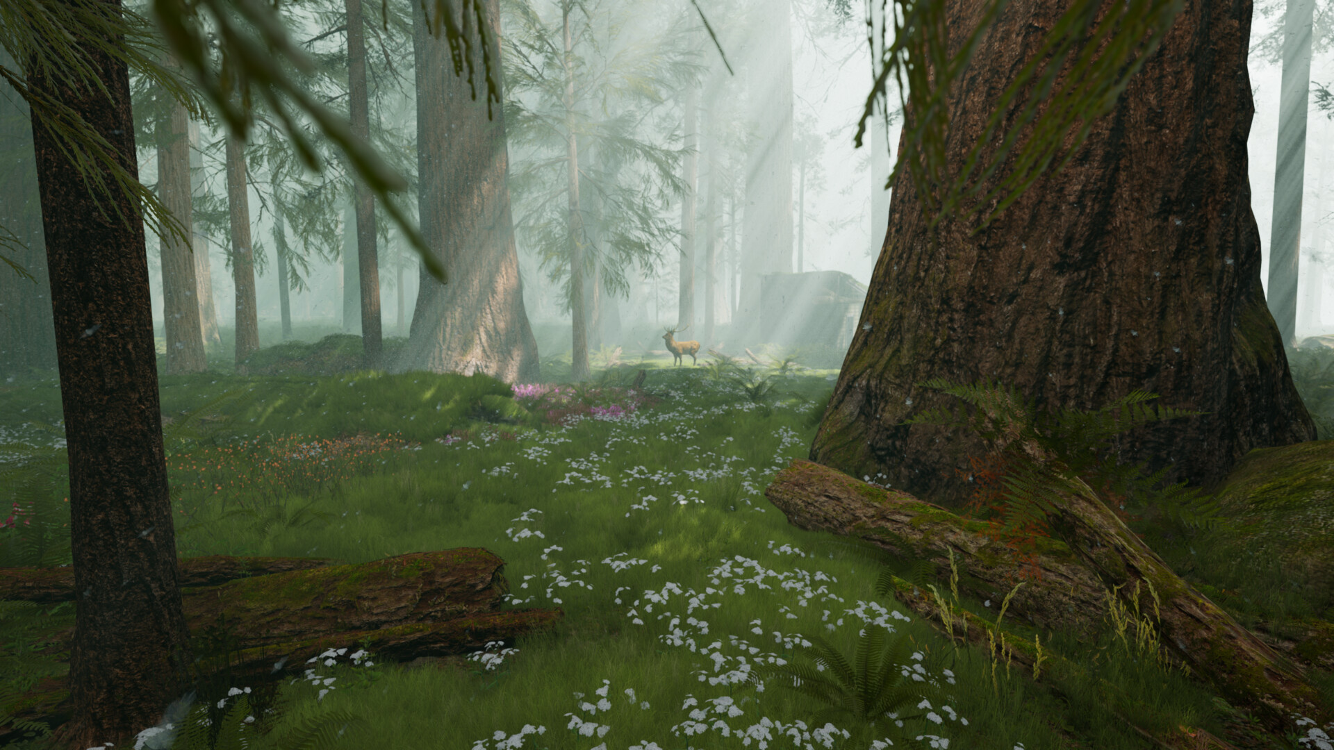 ArtStation - Forest landscape