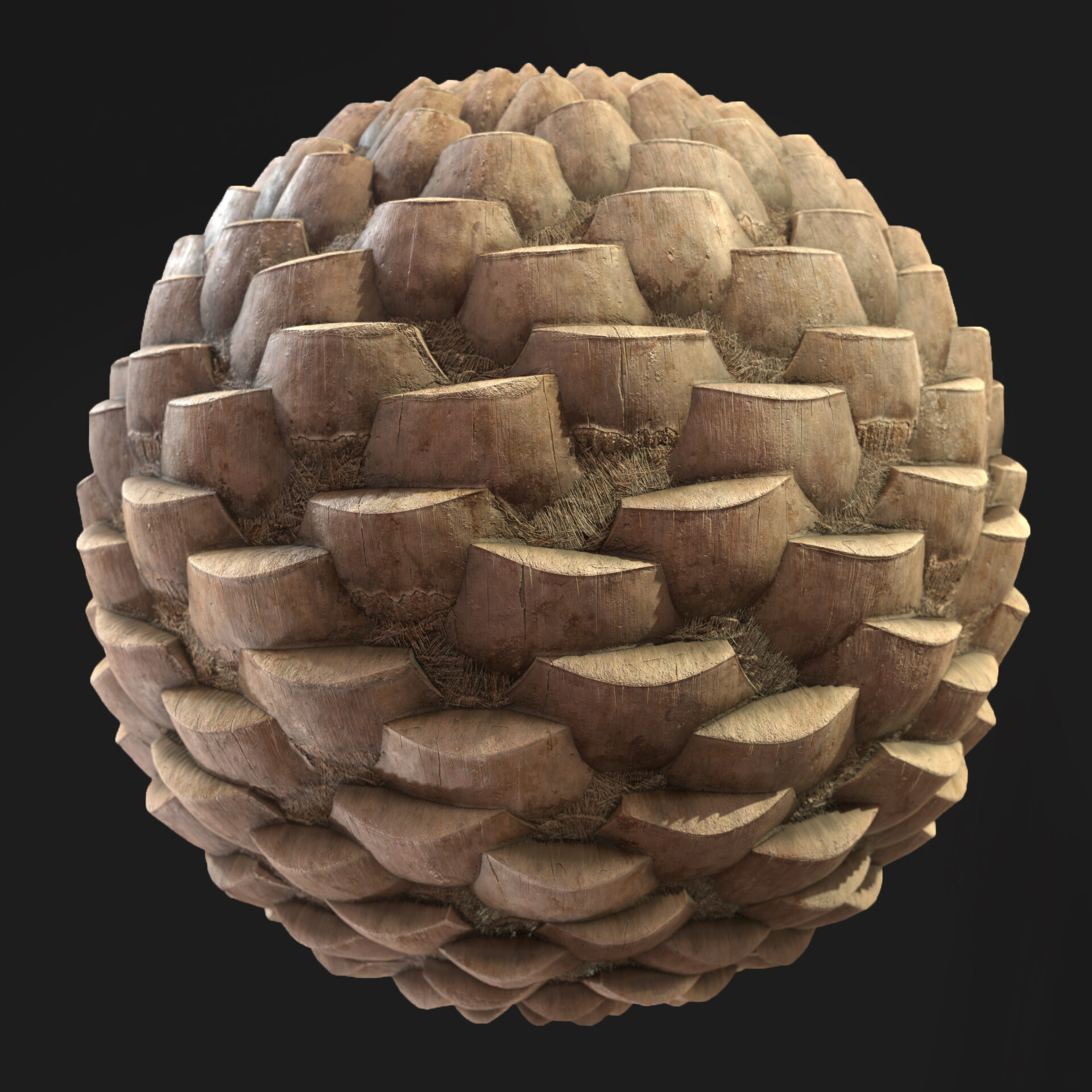 Leonid Sadekov - Palm Tree - Substance Designer