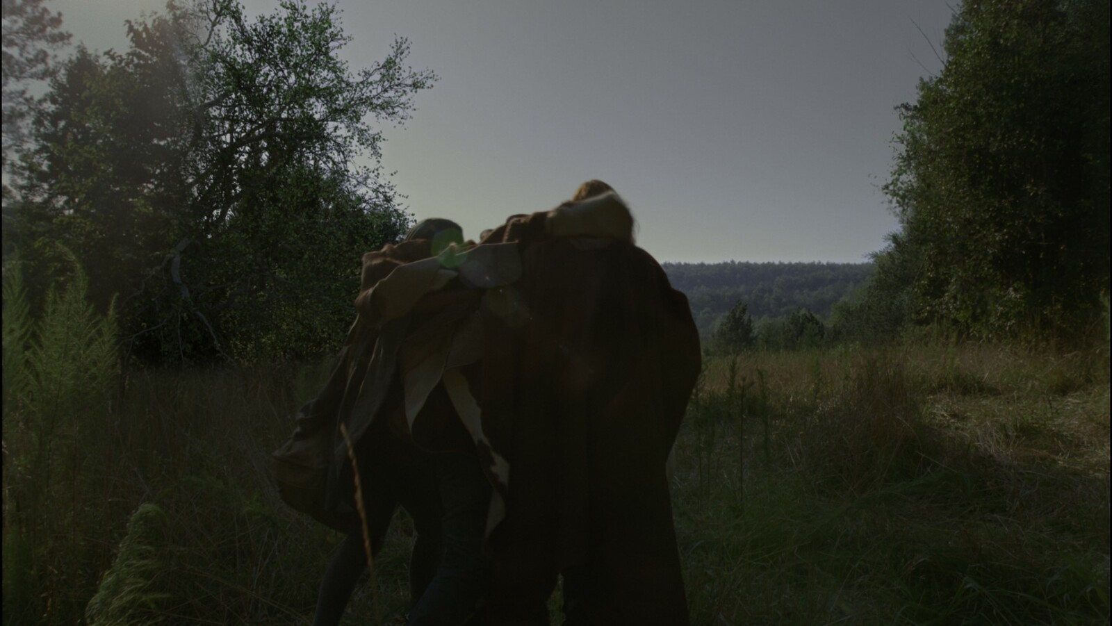 gavin whelan - The Walking Dead - S10 Ep12 - Cg Environment + Crowd Sim