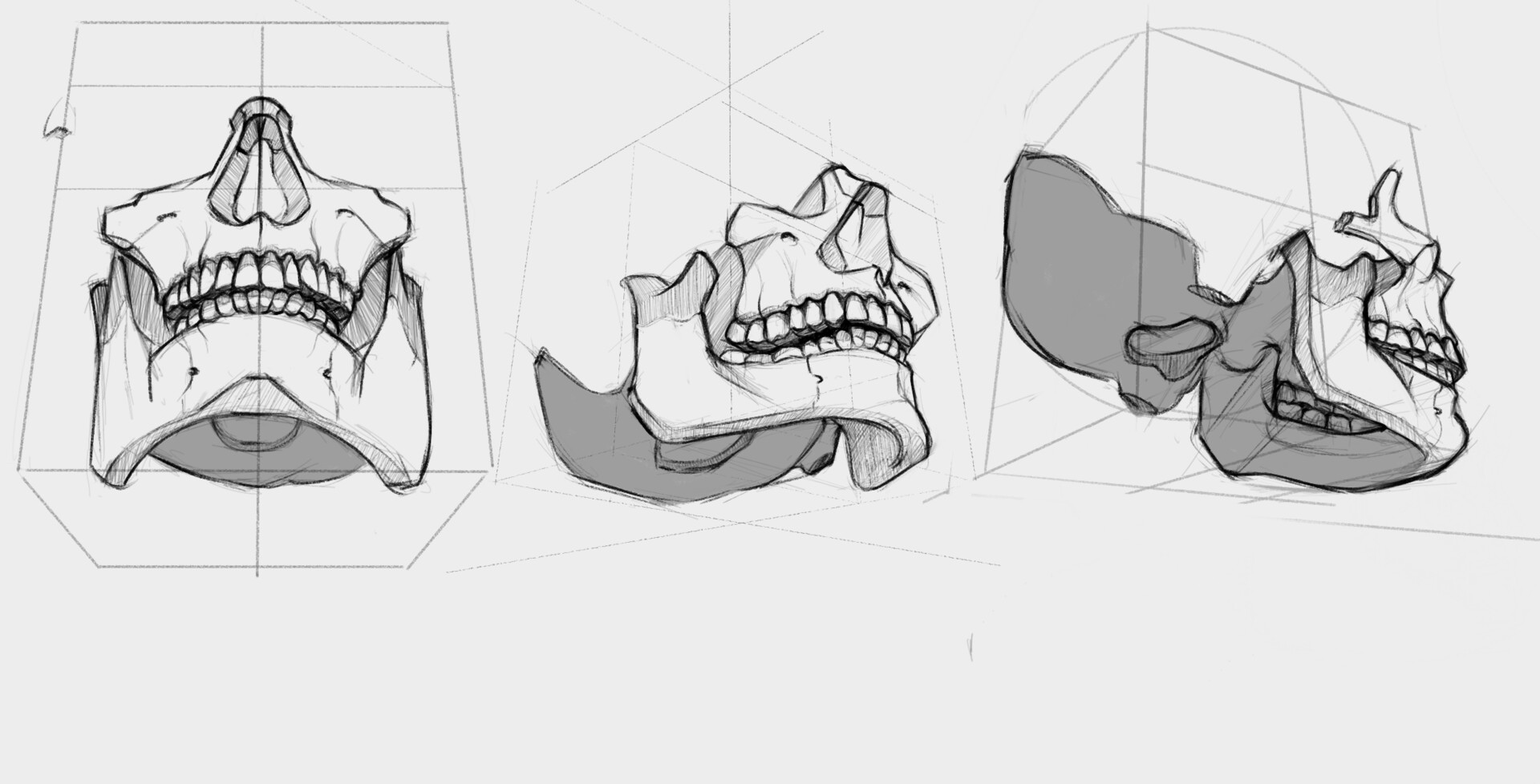 how to draw teeth on a skull