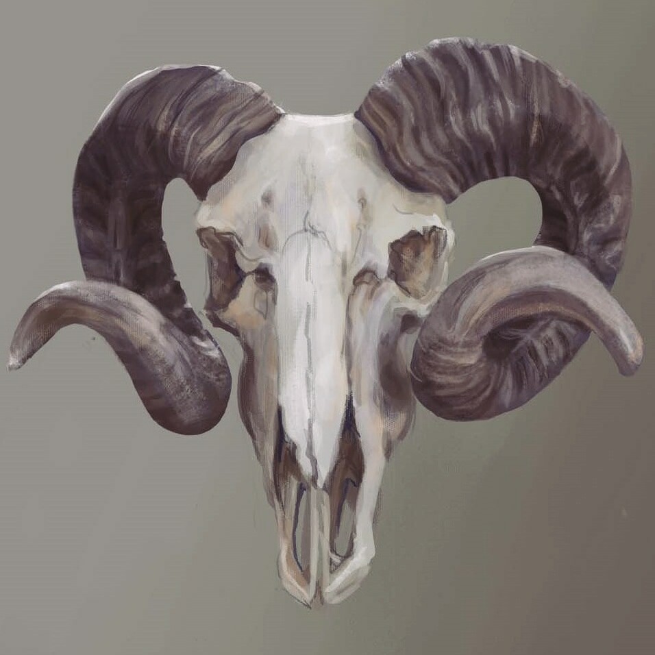 ArtStation - Bull's skull