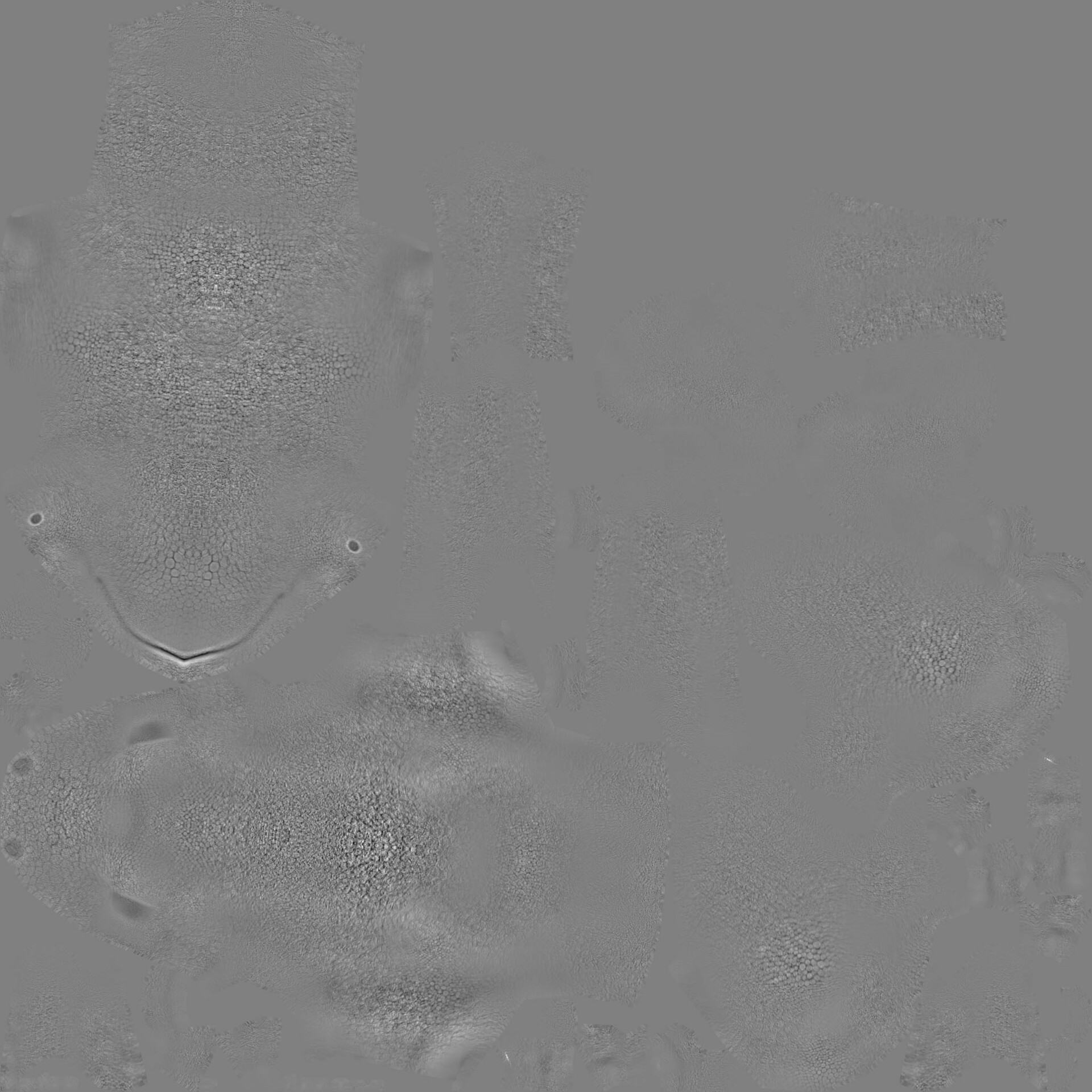 Sachin Sendre - Frog Modeling Concept art