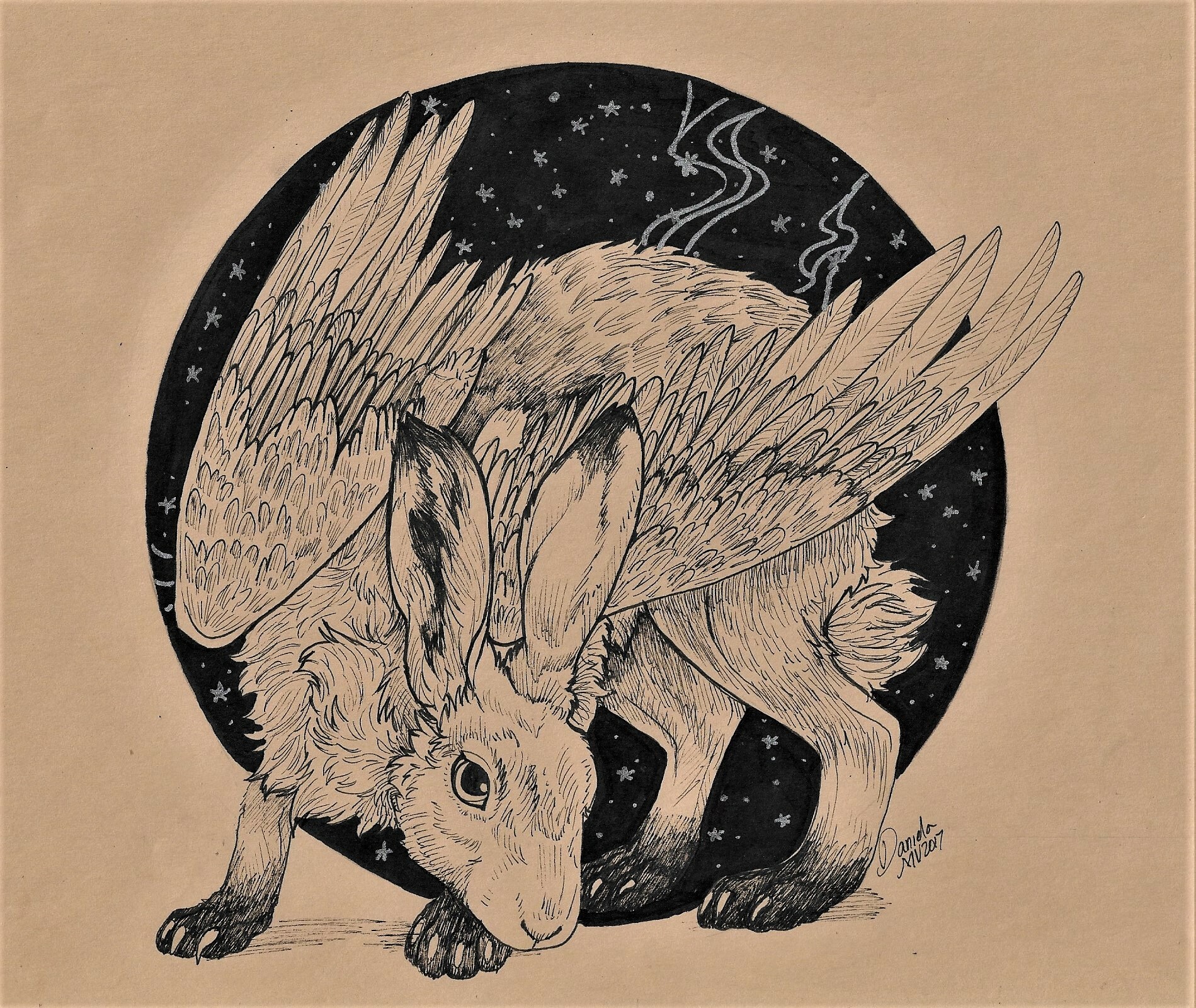 Winged Rabbit by Loba Maior : r/ImaginaryHybrids